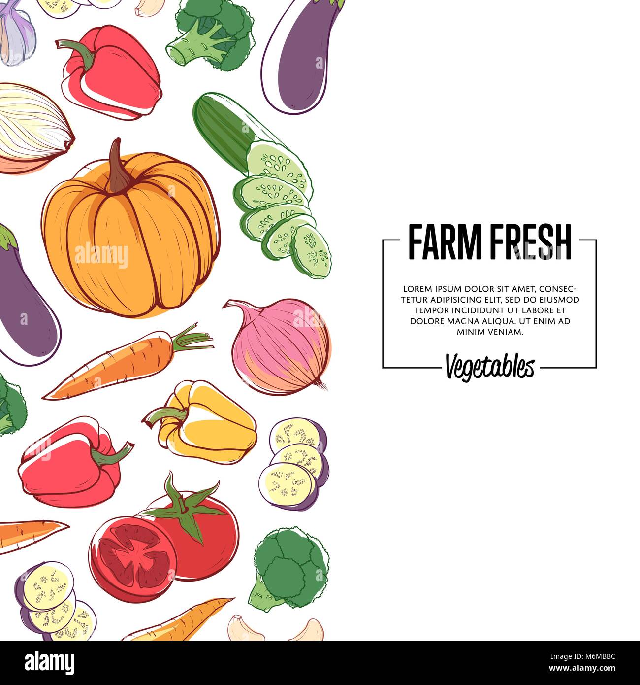 Farm fresh banner with ripe vegetables Stock Vector Image & Art - Alamy