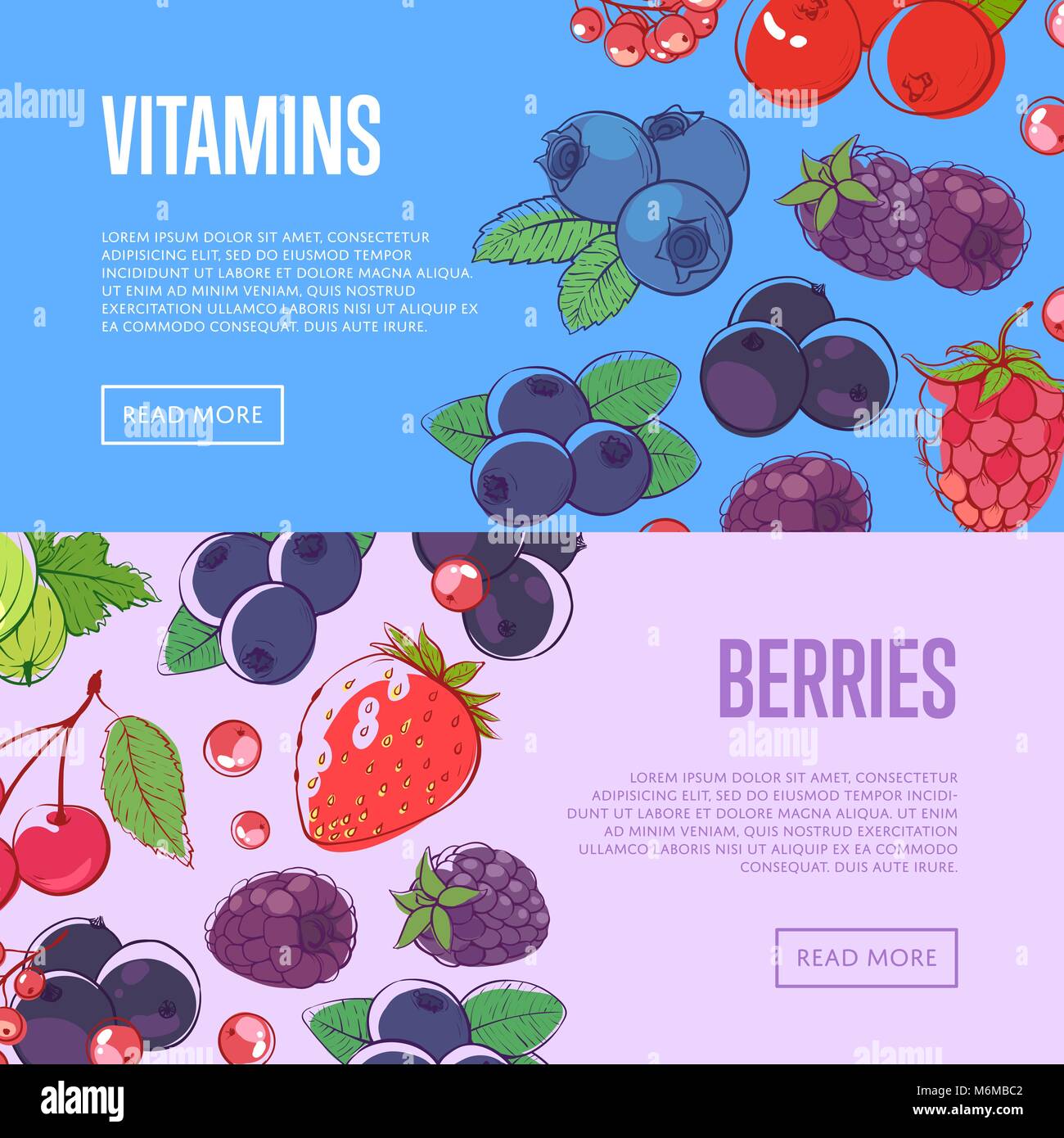 Blueberry blackberry berries on Stock Vector Images - Alamy