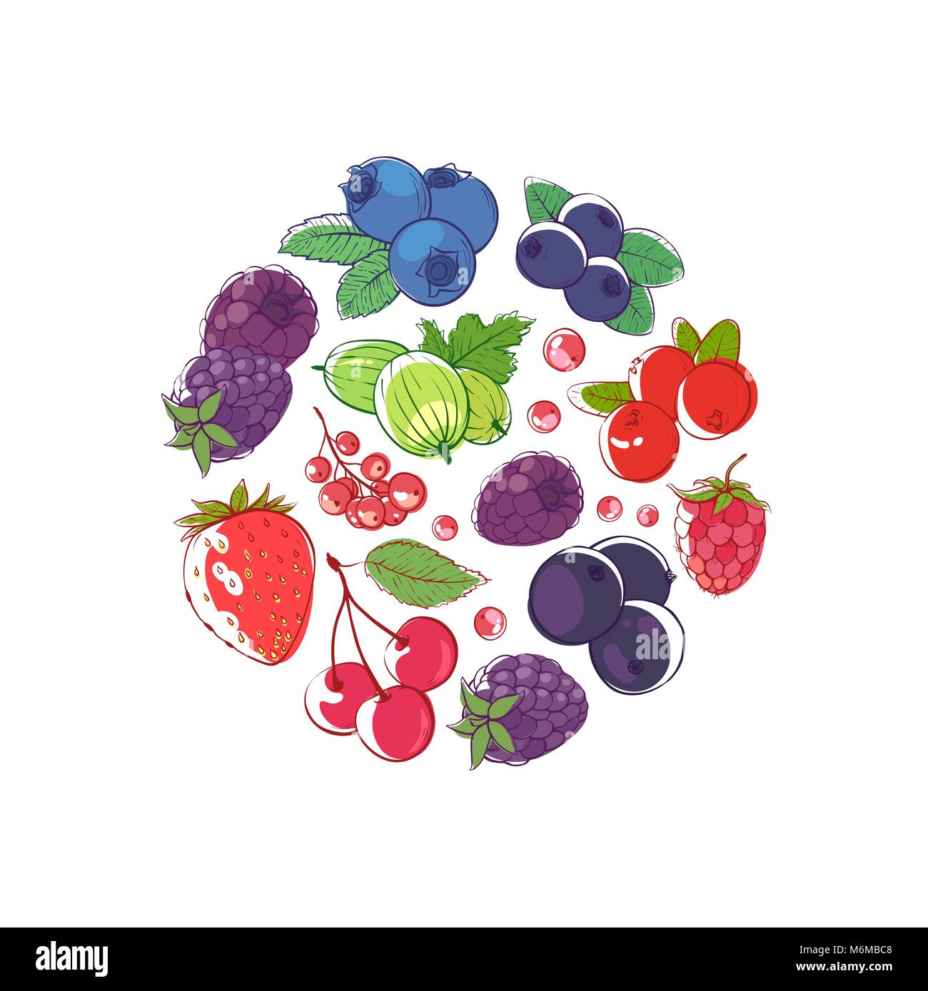 Fresh currant berry fruit Stock Vector Images - Alamy