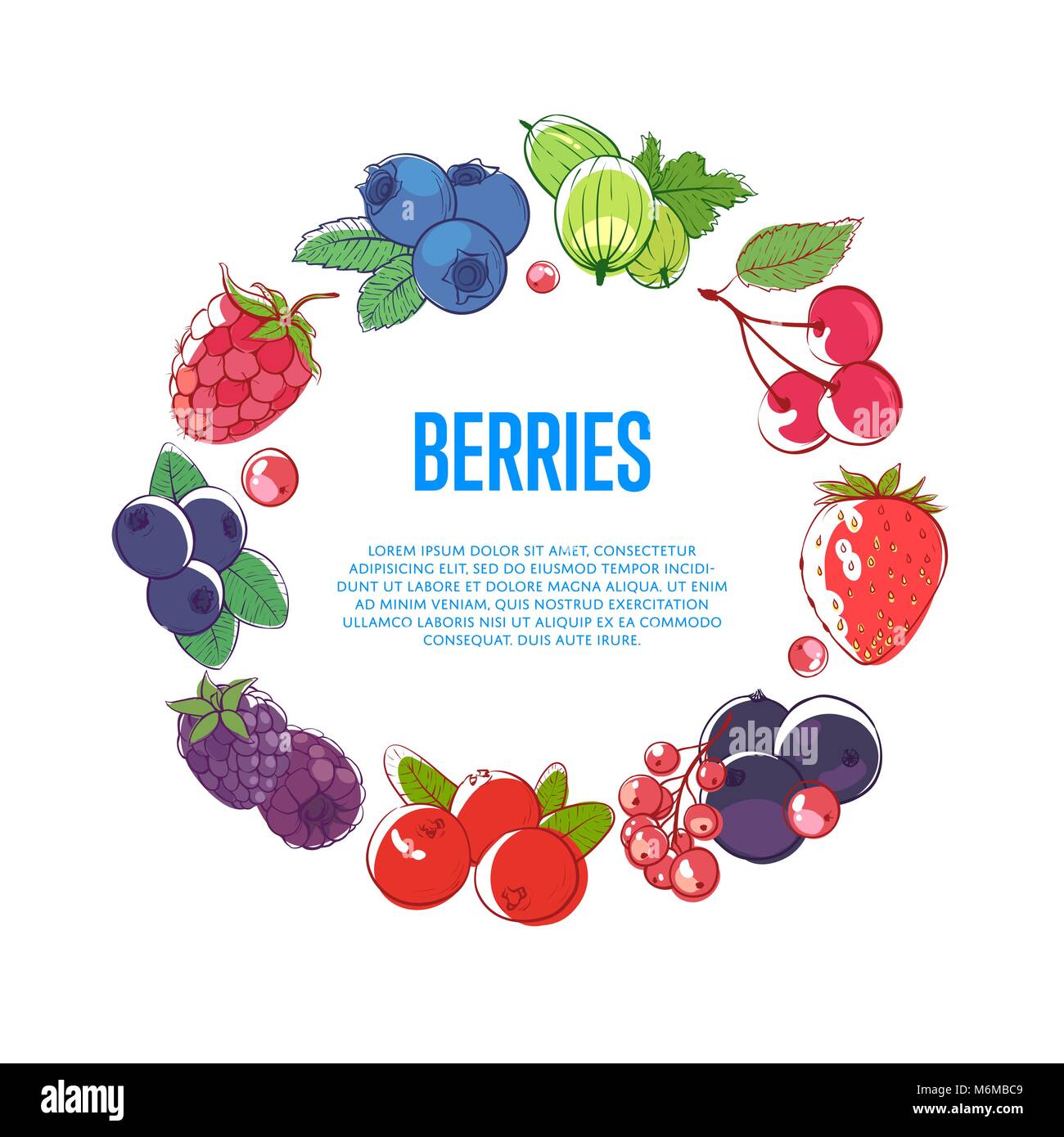 Juicy and sweet berries round frame Stock Vector Image & Art - Alamy