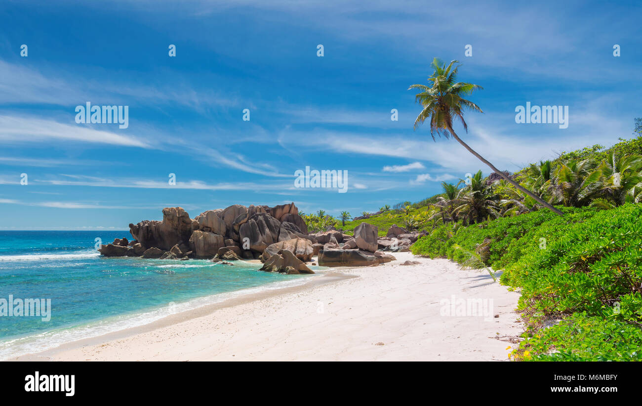 Rock and palms on Tropical beach Stock Photo - Alamy