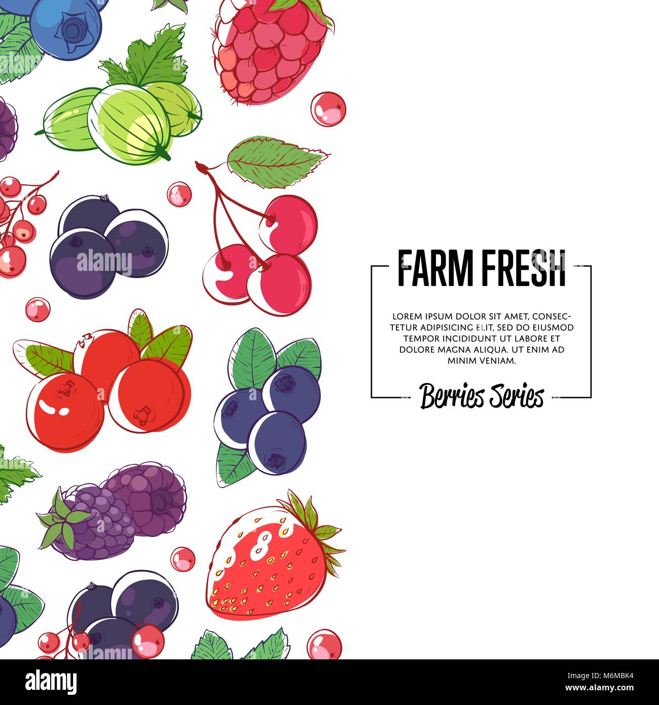 Berries poster farm fruit hi-res stock photography and images - Alamy