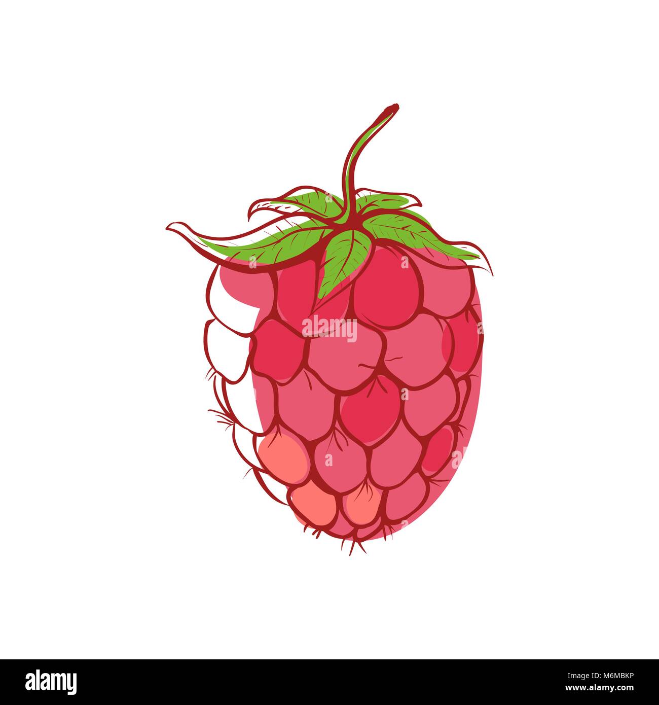 Raspberry farming Stock Vector Images - Alamy