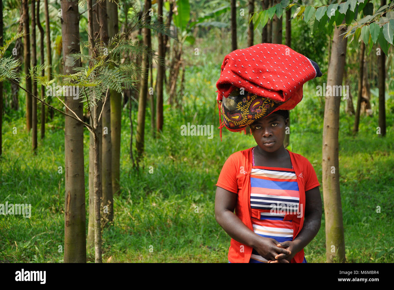 Democratic Republic of Congo, Village near Virunga National Park Stock ...