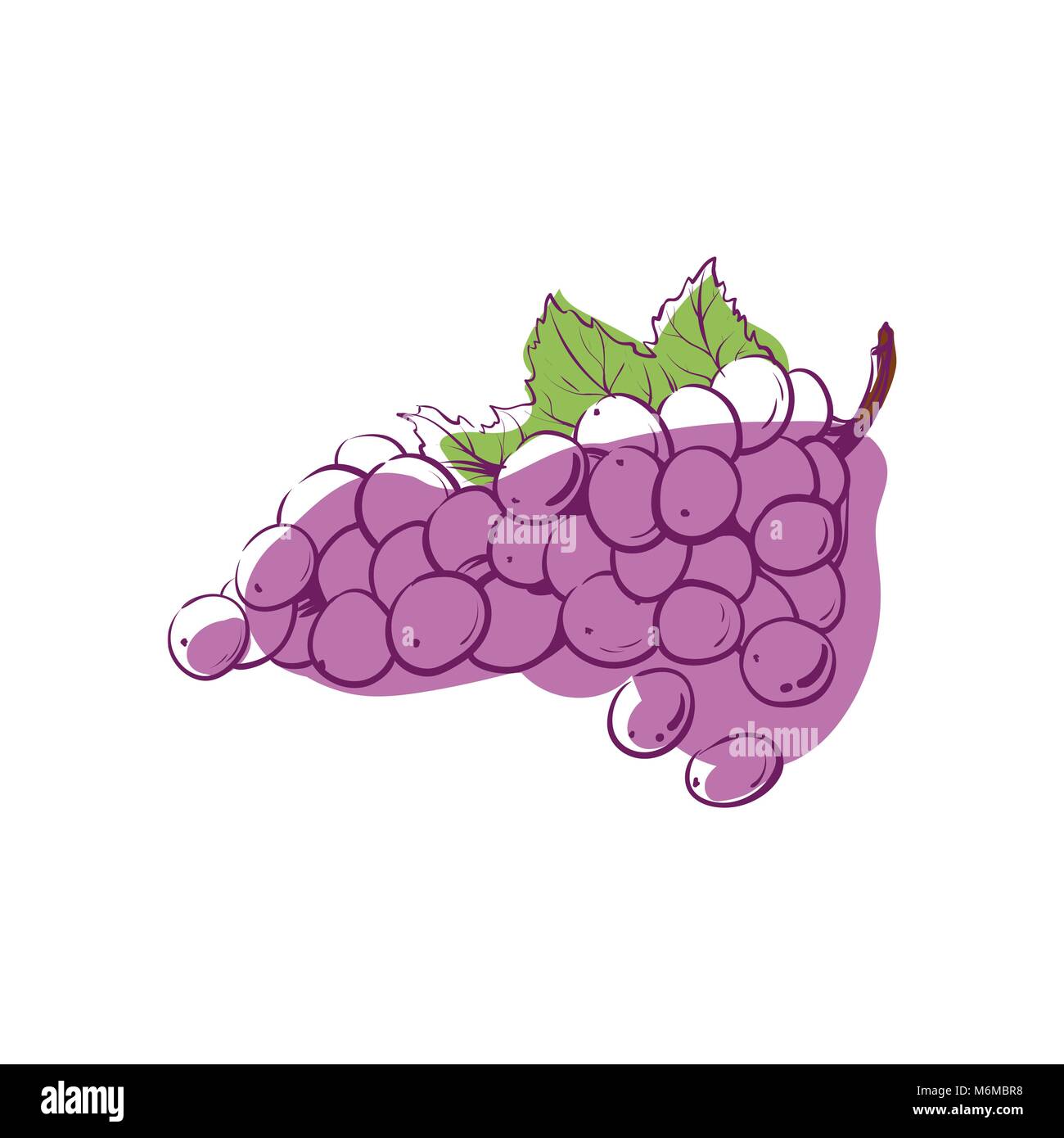 Grapes grocery store Cut Out Stock Images & Pictures - Alamy