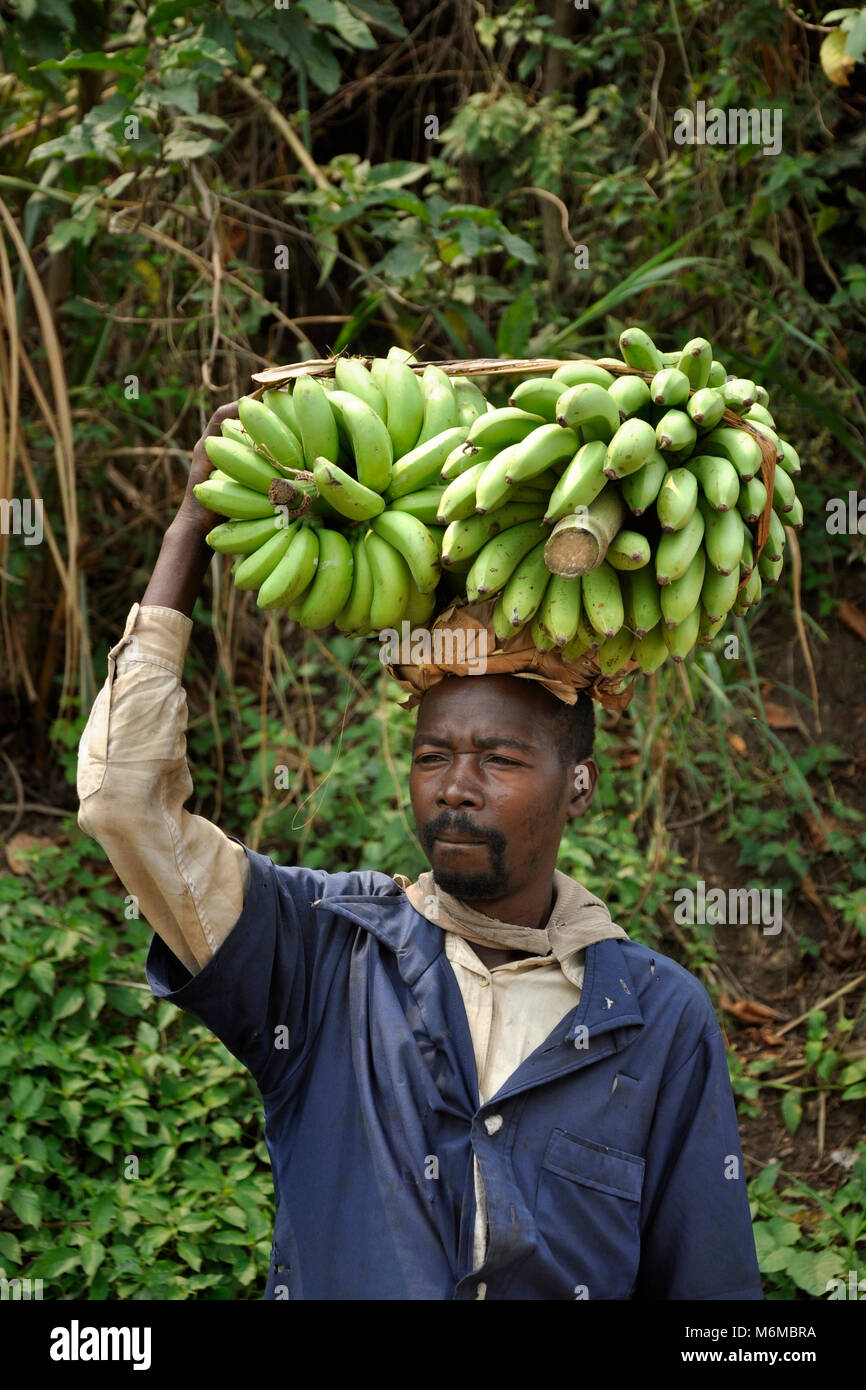 Democratic Republic of Congo, Village near Virunga National Park Stock ...