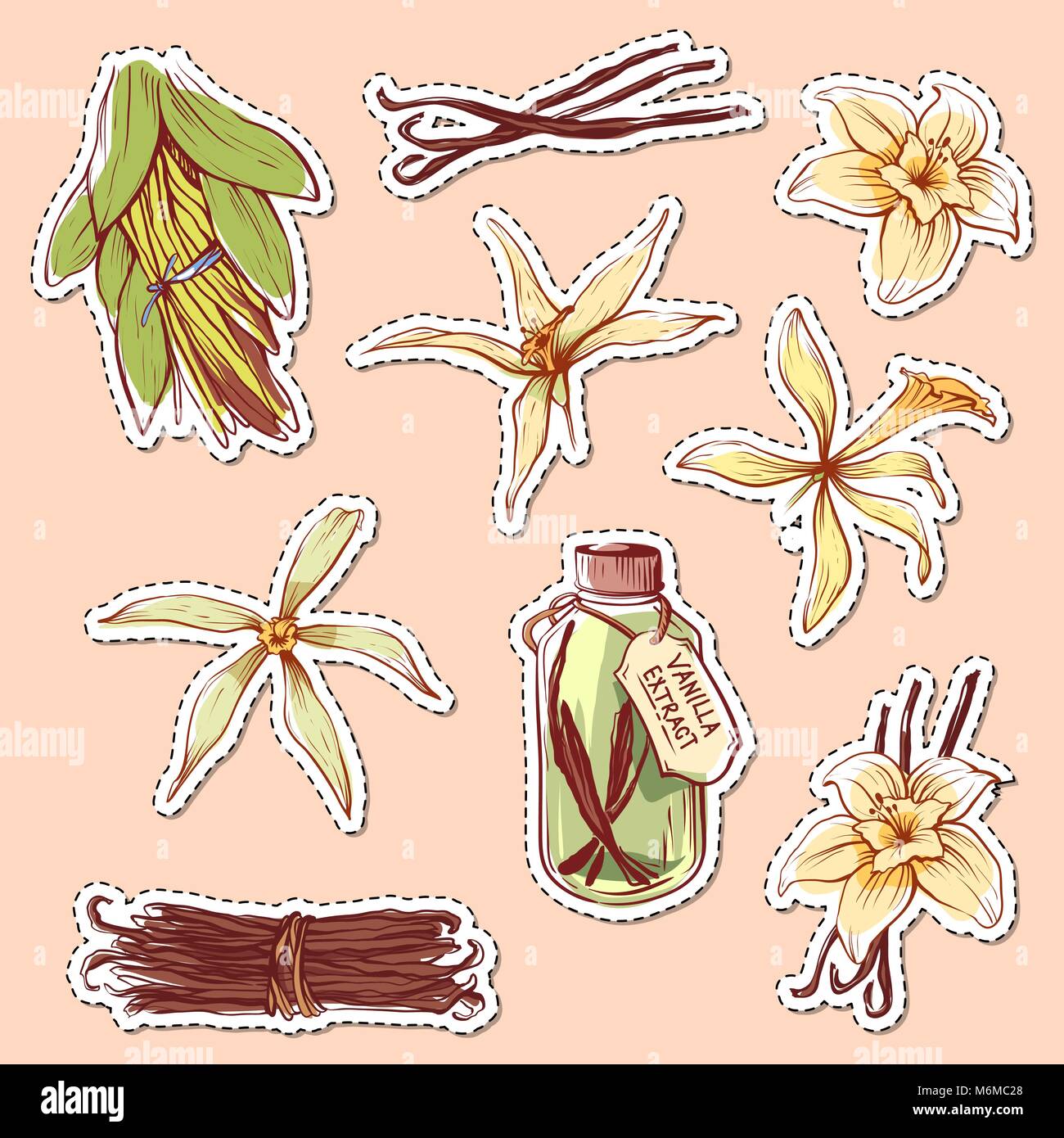 Natural vanilla spice isolated labels Stock Vector Image & Art - Alamy