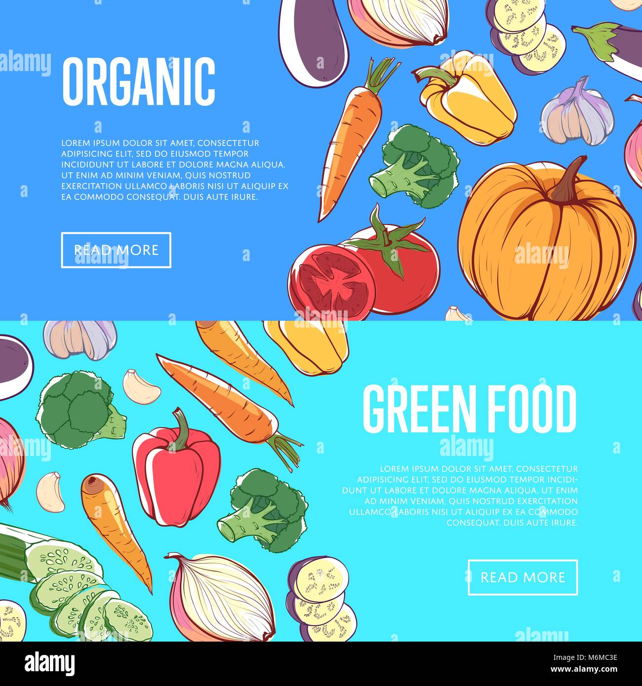 Natural healthy food flyers with vegetables Stock Vector Image & Art ...