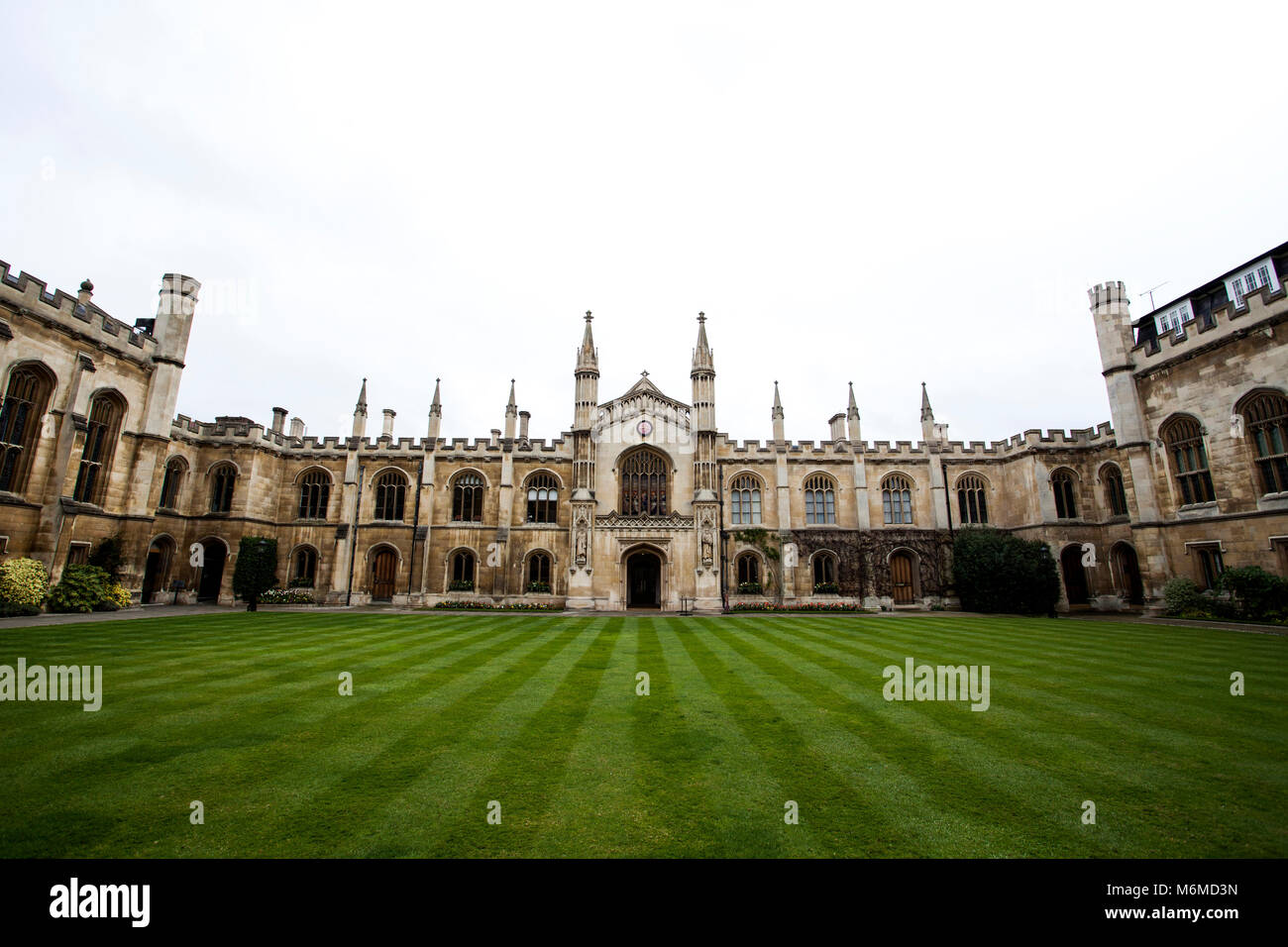 Trinity college quad cambridge hi-res stock photography and images - Alamy