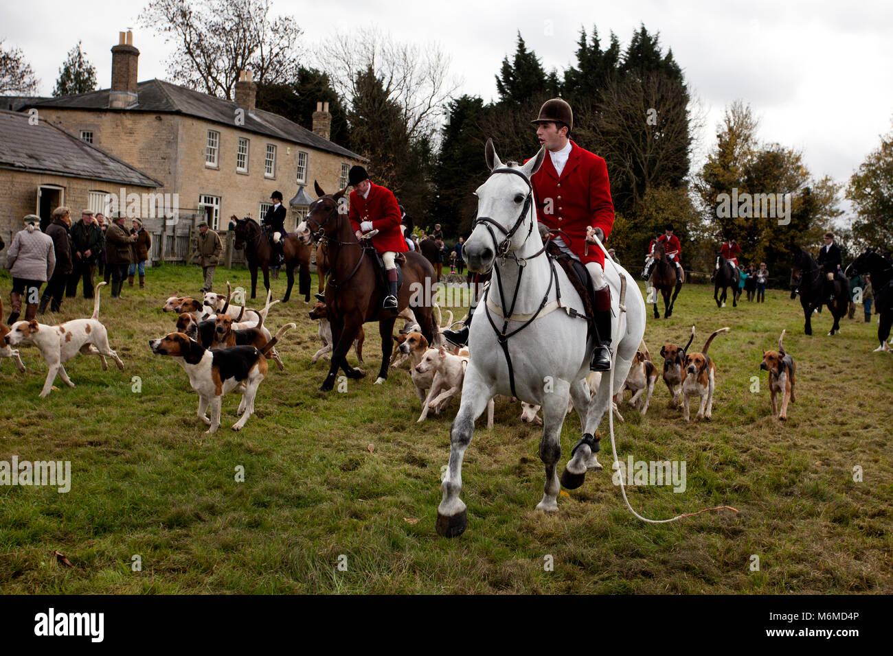 Foxhunt hi-res stock photography and images - Alamy