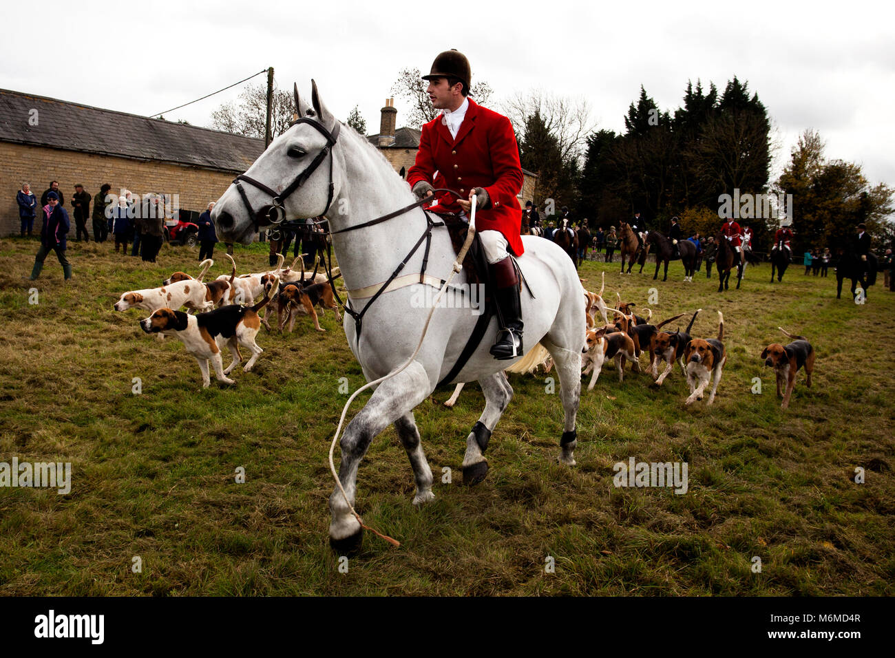 Foxhunt hi-res stock photography and images - Alamy
