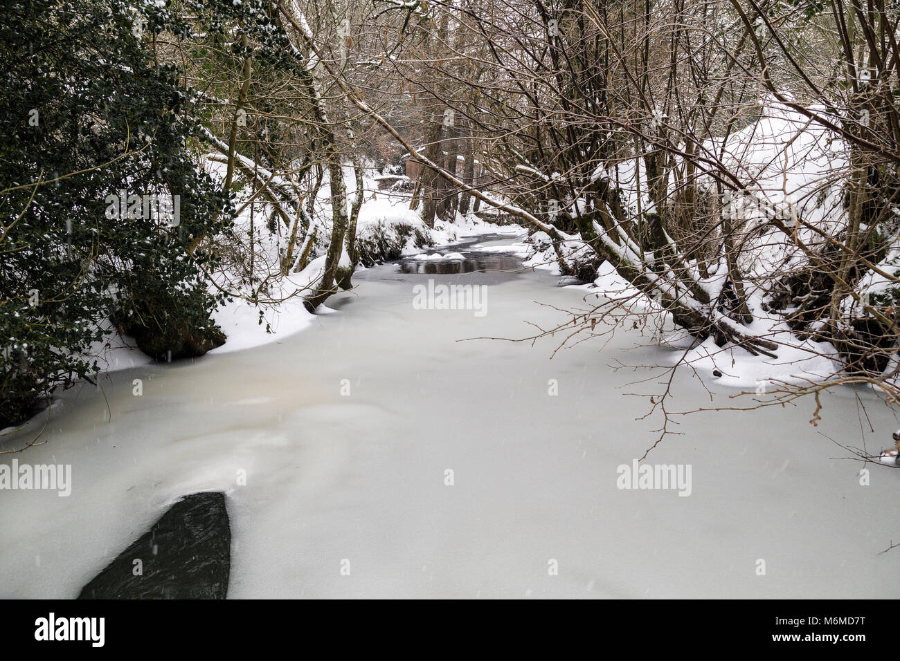 Meteorology. a precipitation in the form of ice crystals, hexagonal ...