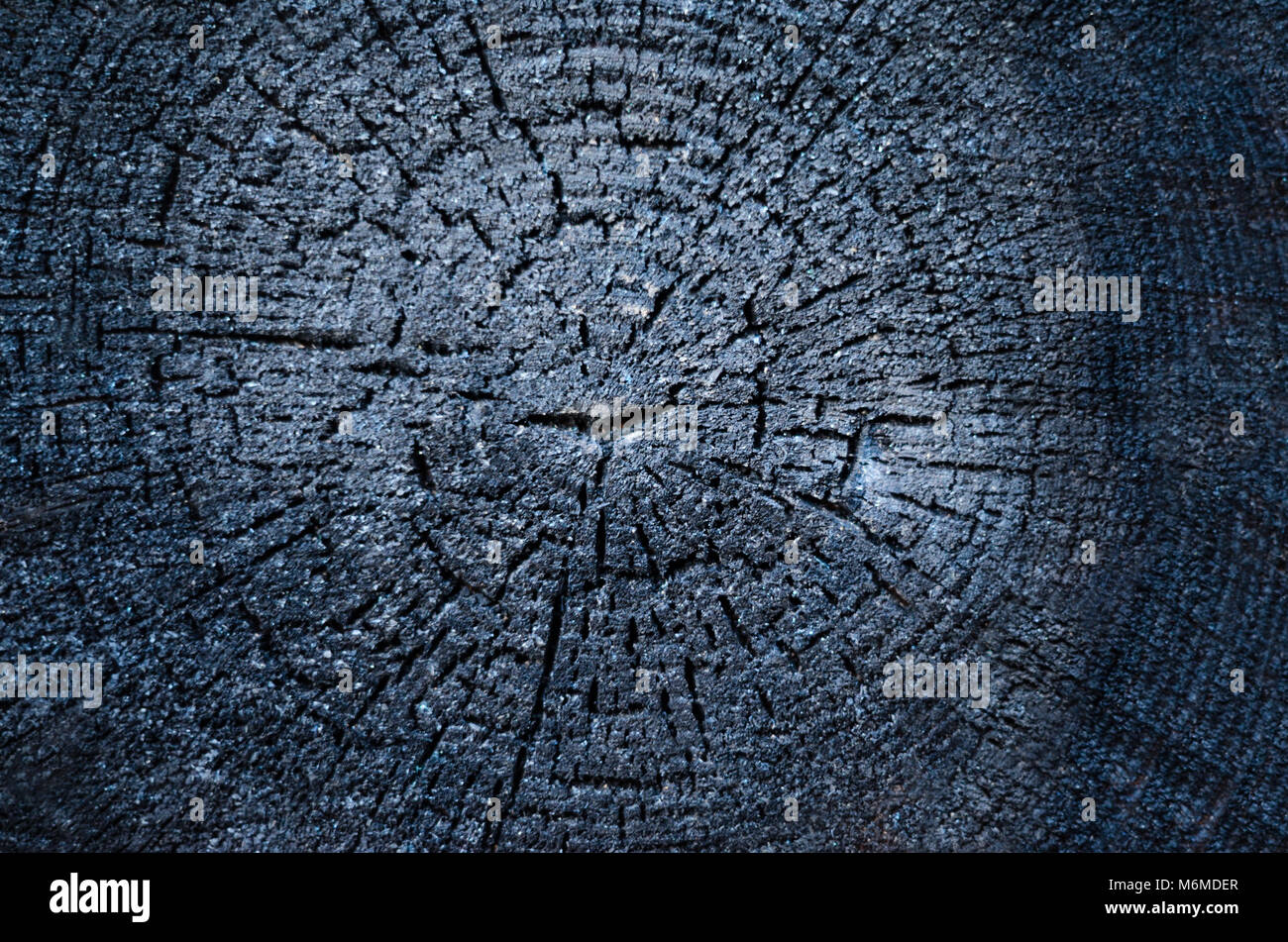 Burned log texture. The end of the sawn logs is charred Stock Photo - Alamy