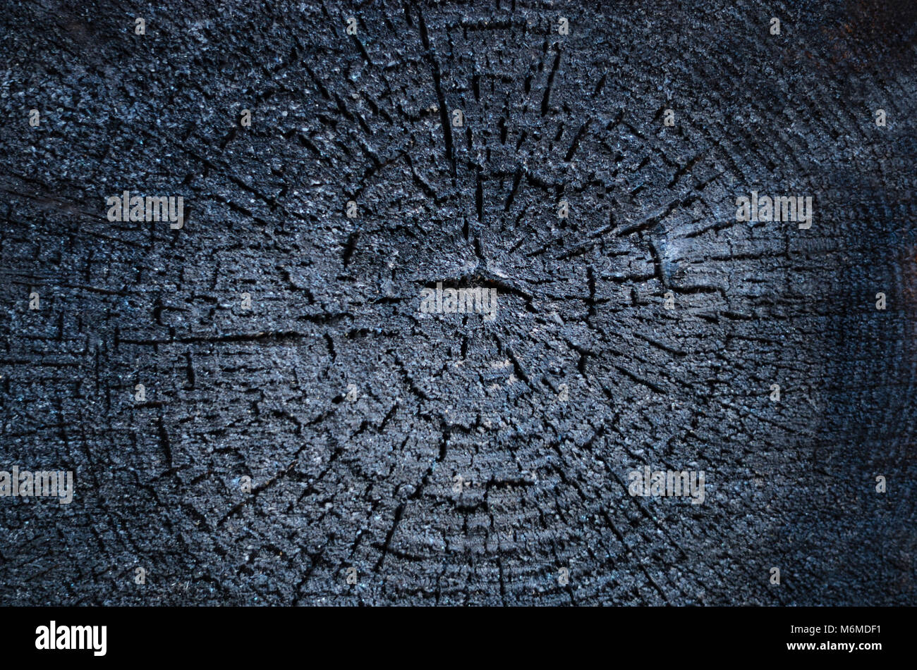 Burned log texture. The end of the sawn logs is charred Stock Photo - Alamy