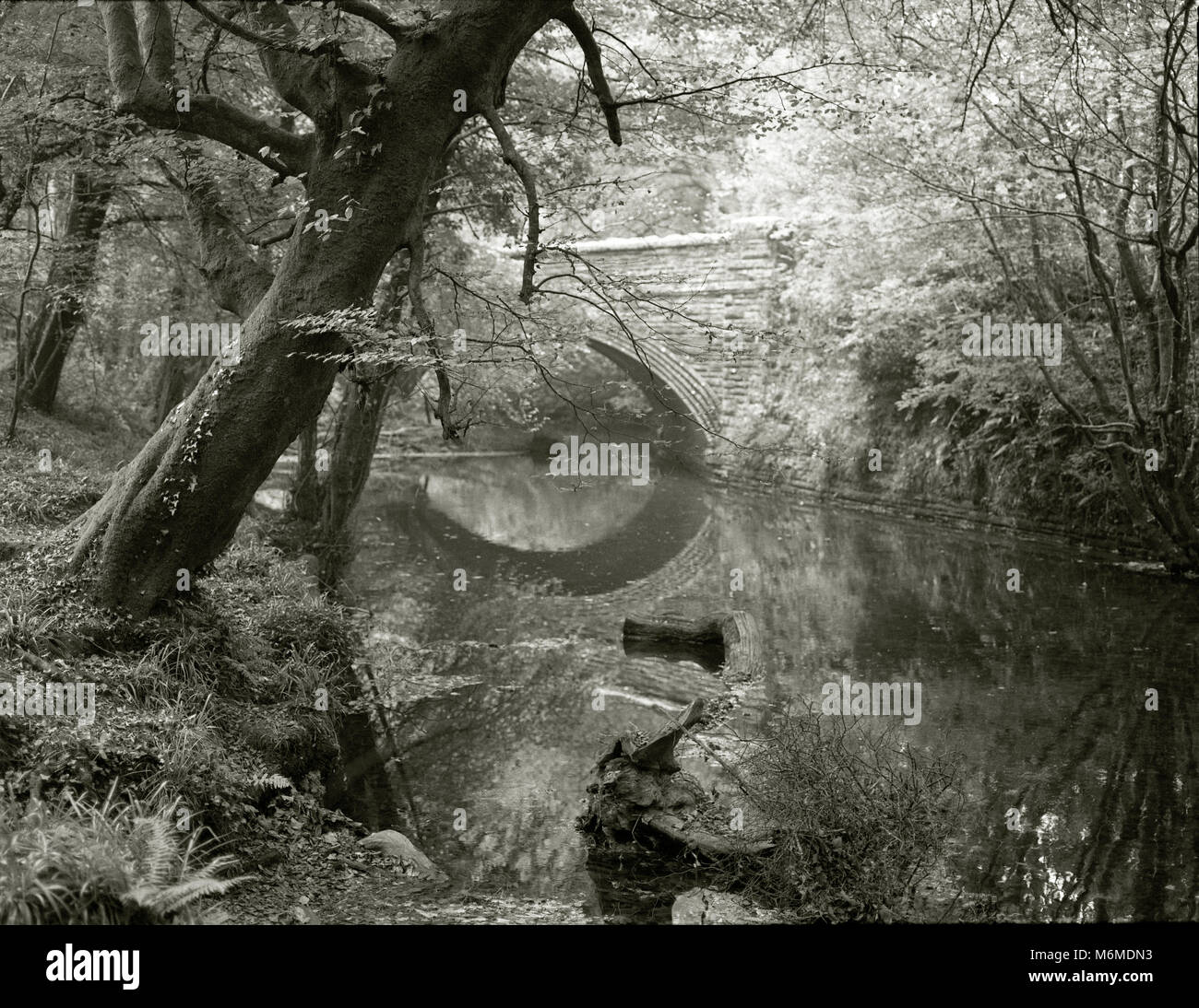 Loddiswell devon hi-res stock photography and images - Alamy