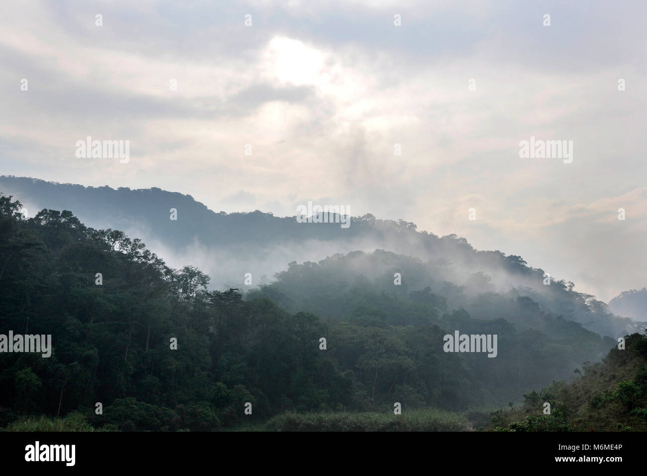 Uganda landscape hi-res stock photography and images - Alamy