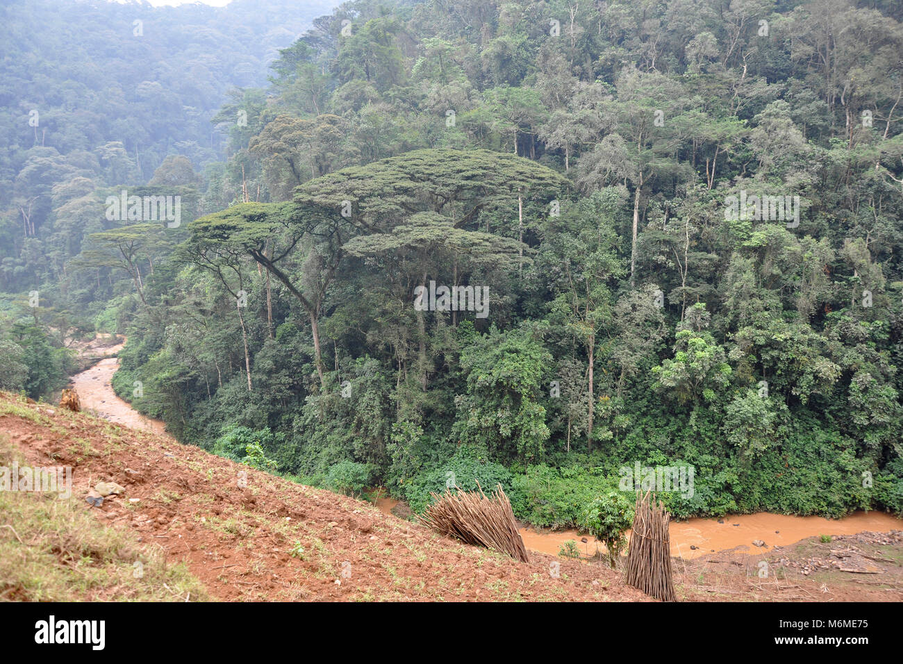 Uganda, Lake Mutanda Village Stock Photo - Alamy