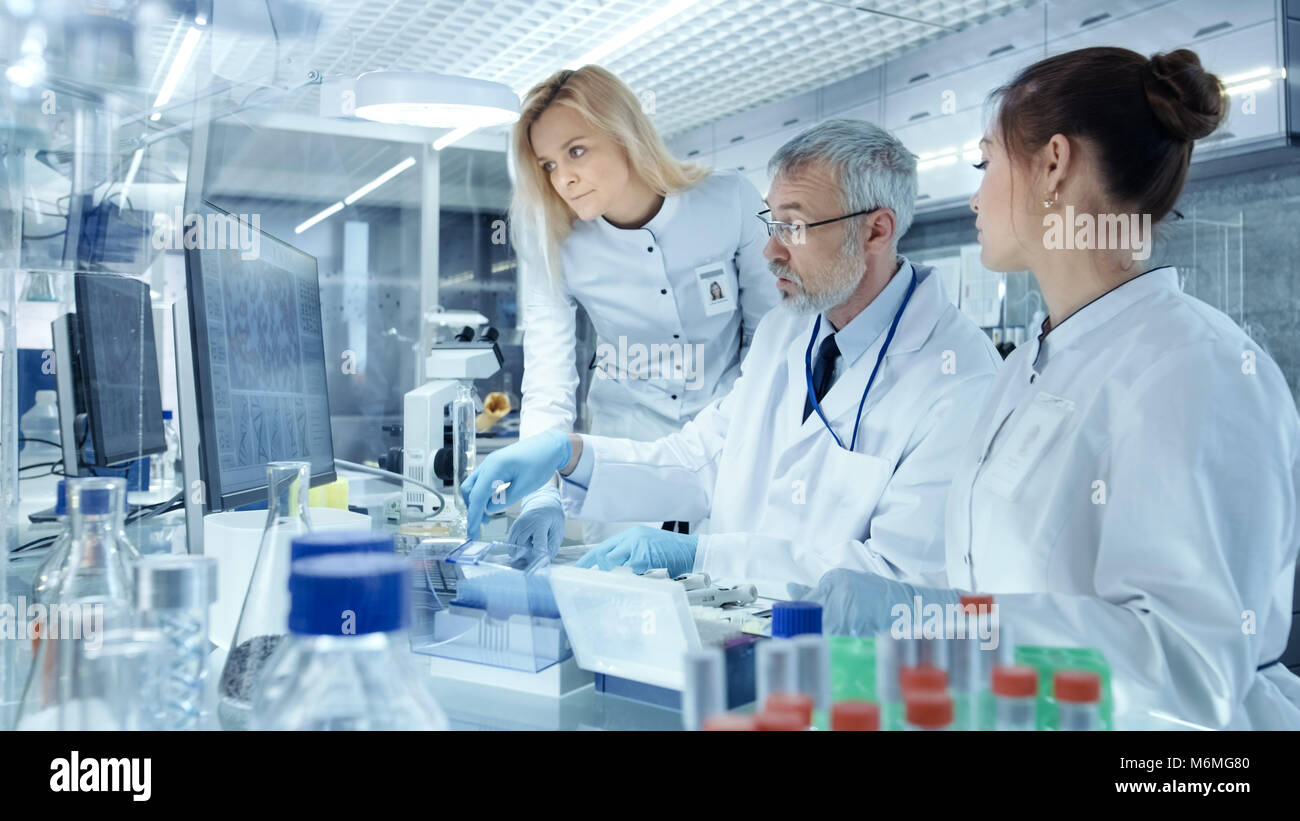 Team of Research Scientists Working With Personal Computer, Analysing ...