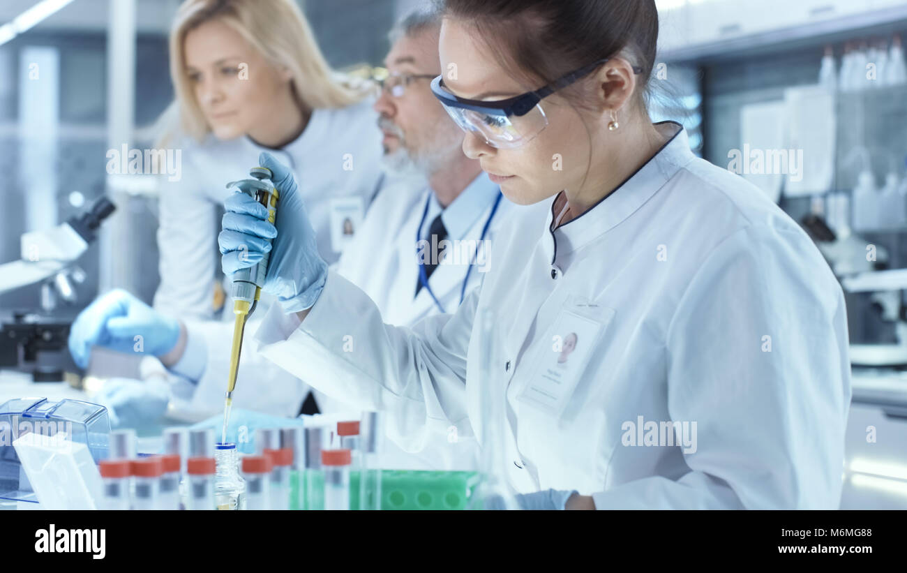 Team of Research Scientists Working With Personal Computer, Analysing ...