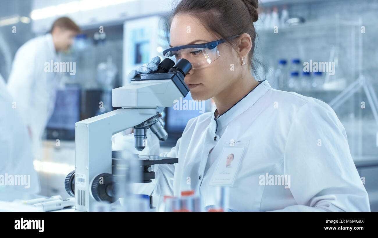 Scientist work looking in microscope hi-res stock photography and ...