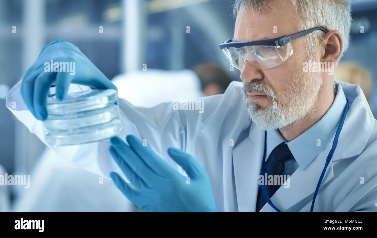 Lab petri dish microscope hi-res stock photography and images - Alamy