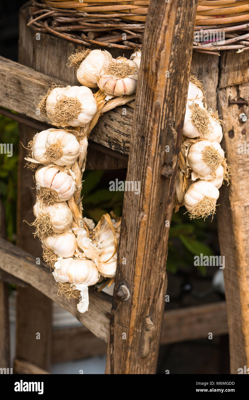 A ring of Cloves of Garlic on display at Market stall at Campo de ...