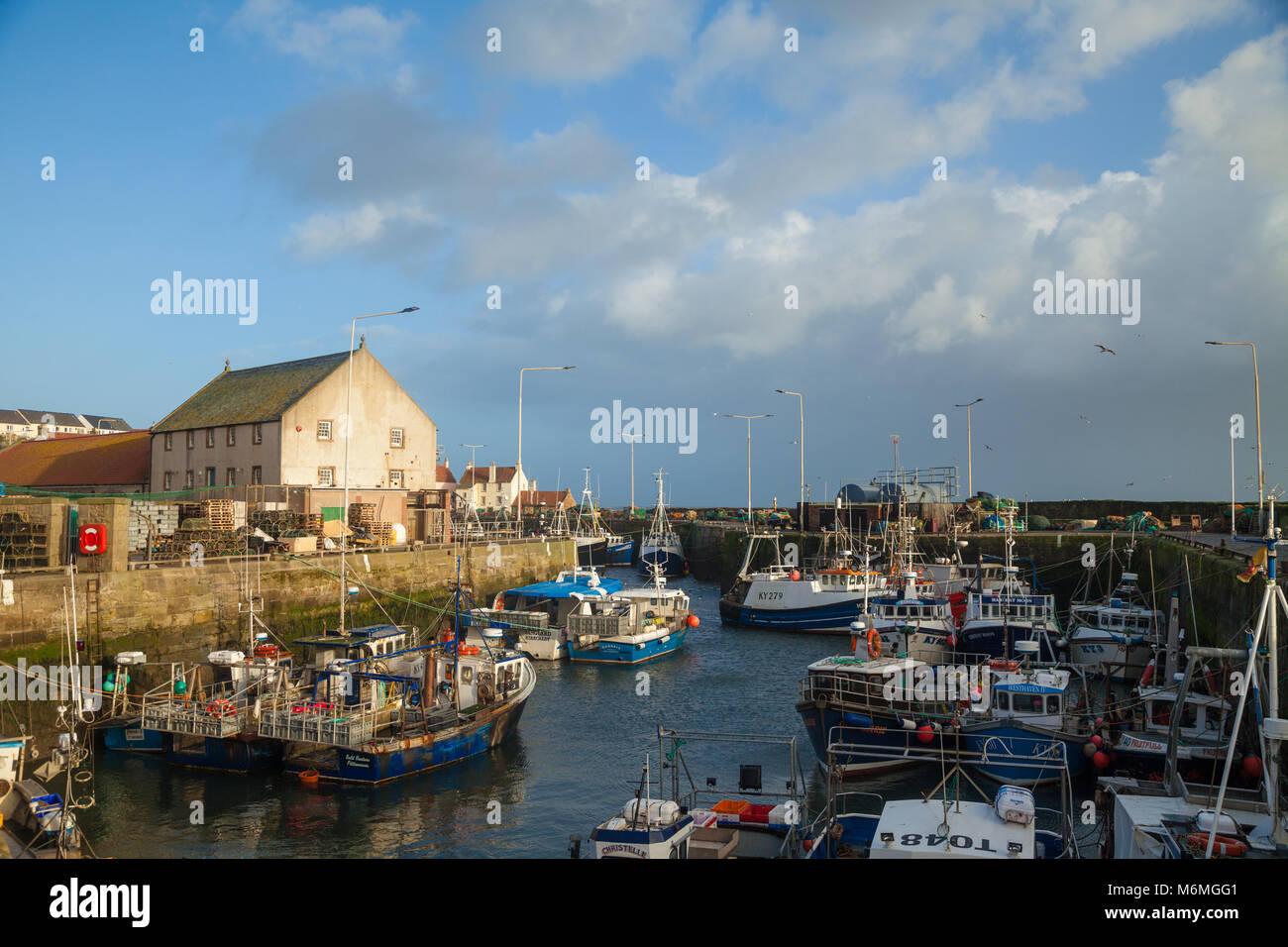 Pittenweem harbour in Fife Scotland Stock Photo - Alamy