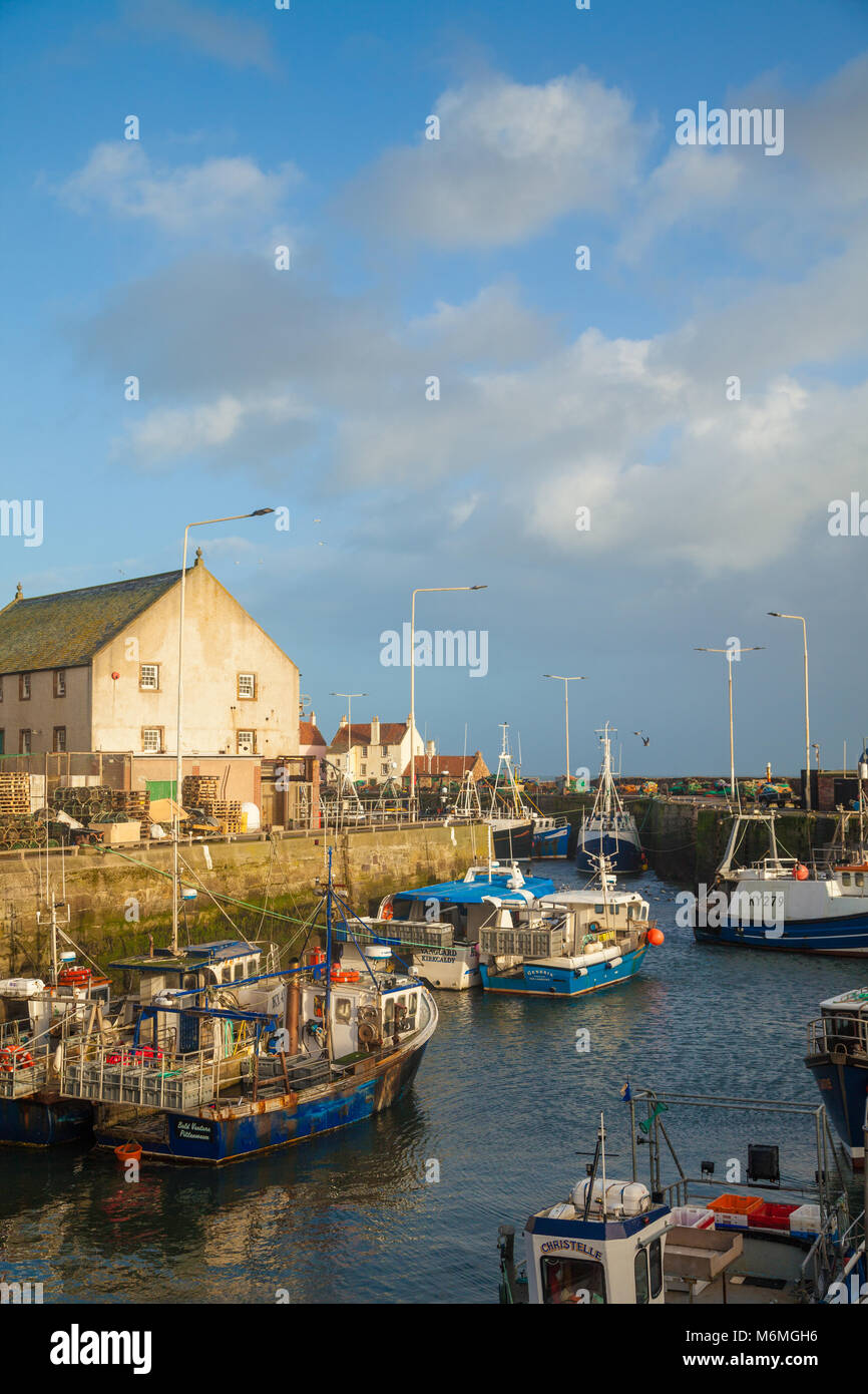Pittenweem harbour in Fife Scotland Stock Photo - Alamy