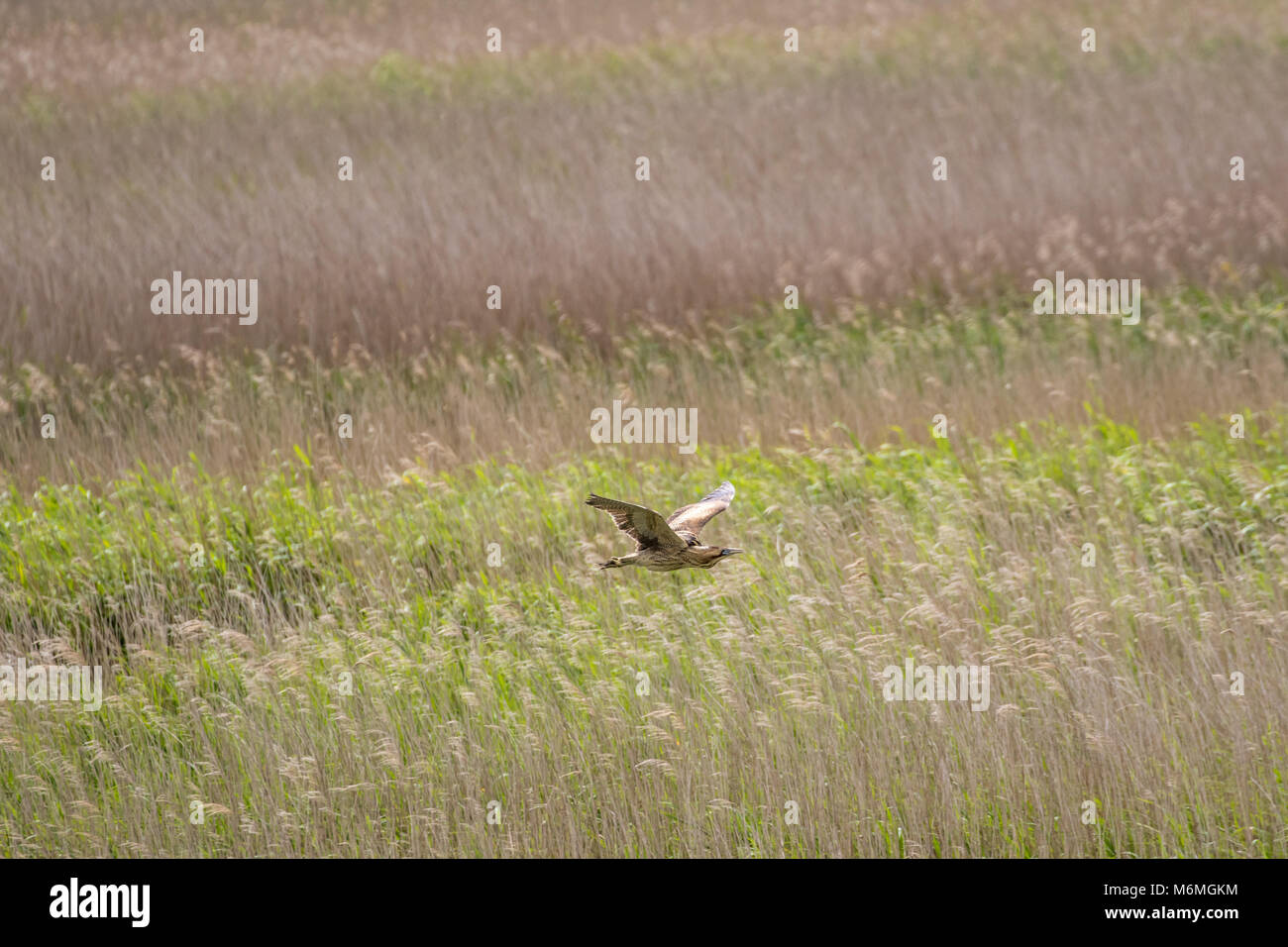 Flying water bed hi-res stock photography and images - Alamy