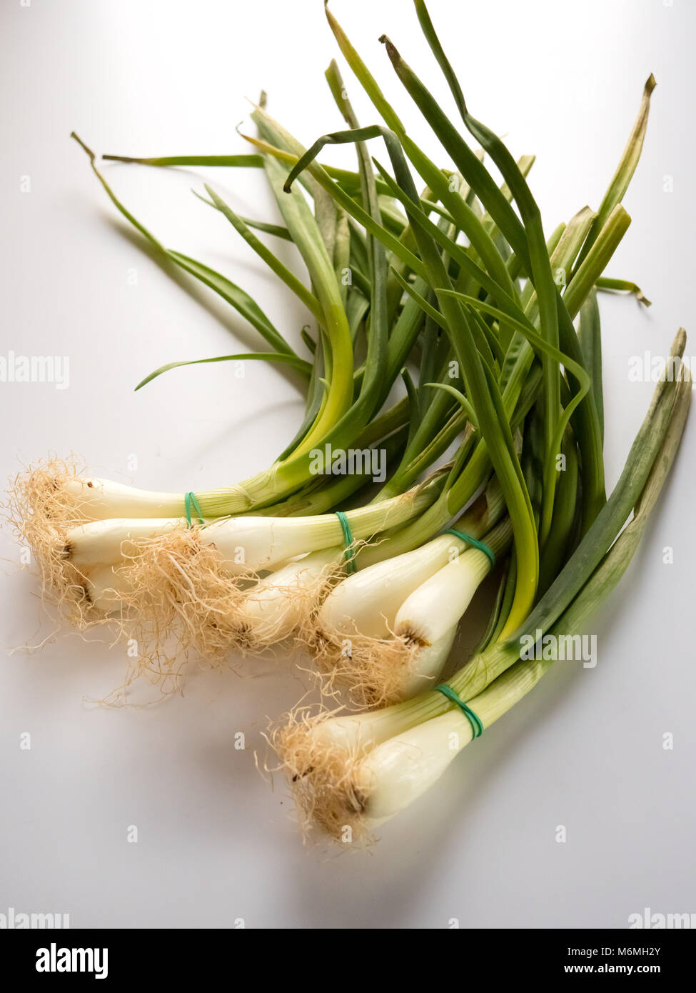 Vertical view of Bunches of green onions on a white background Stock ...