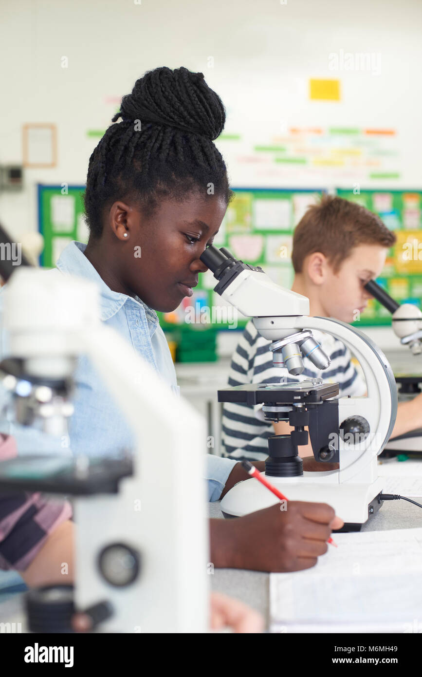 Group Of Pupils Using Microscopes In Science Class Stock Photo - Alamy
