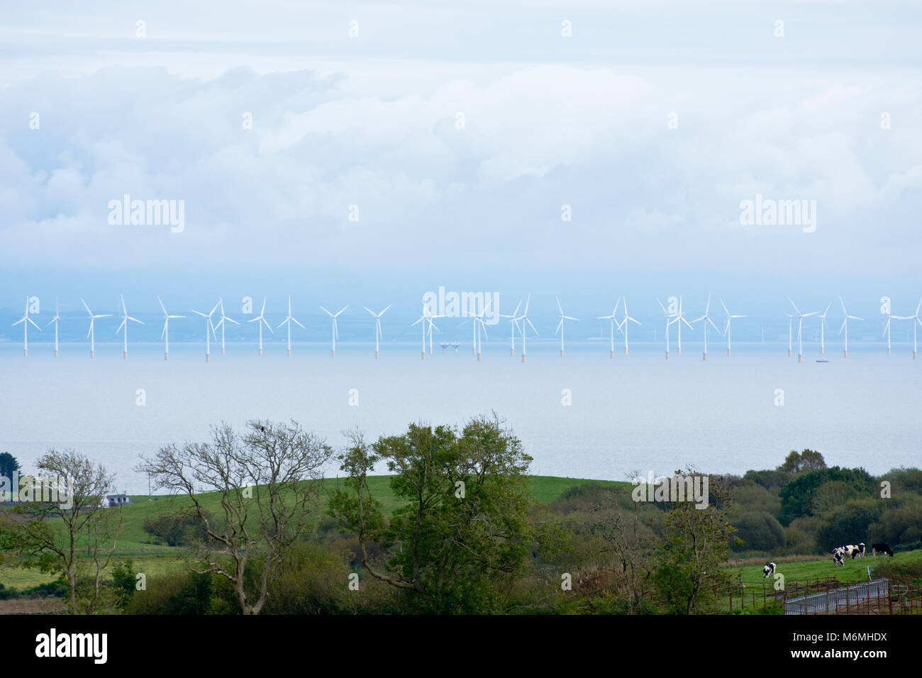 Robin Rigg wind farm in the Solway Firth, UK. Looking from Galloway to ...
