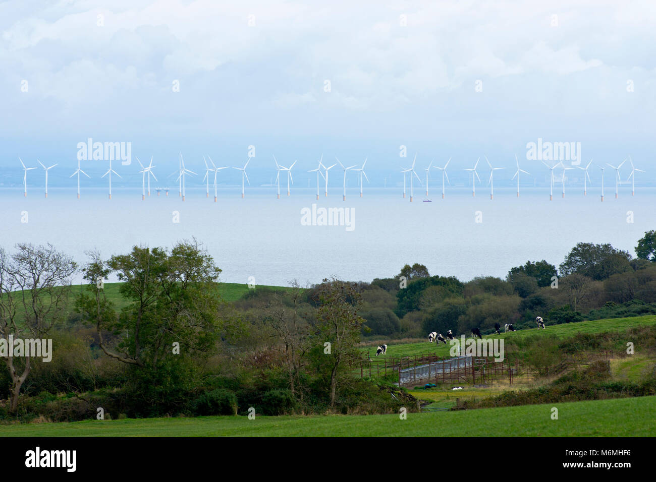Robin Rigg wind farm in the Solway Firth, UK. Looking from Galloway to ...