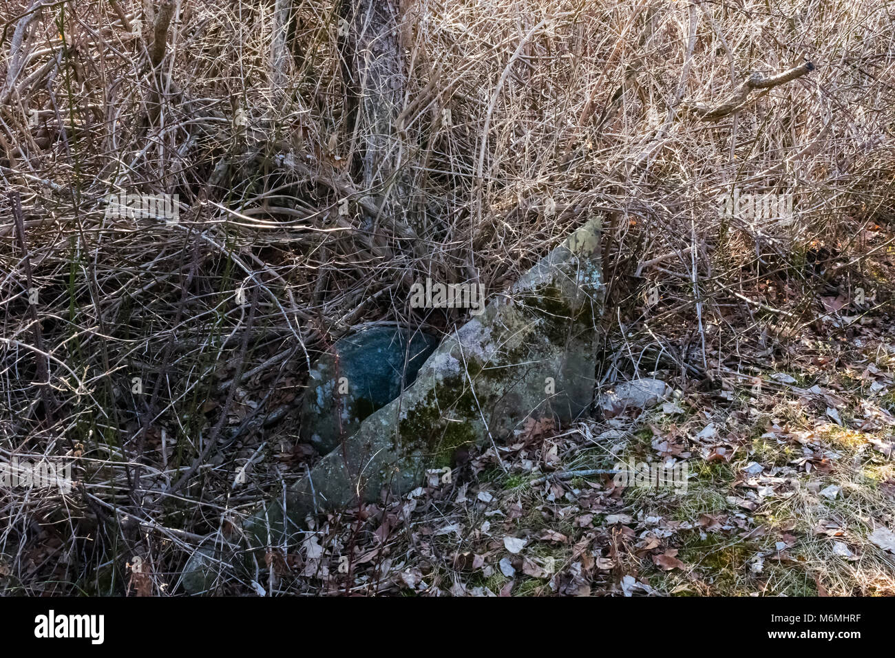 The Great Hill Trails in Bridgewater, Massachusetts Stock Photo - Alamy