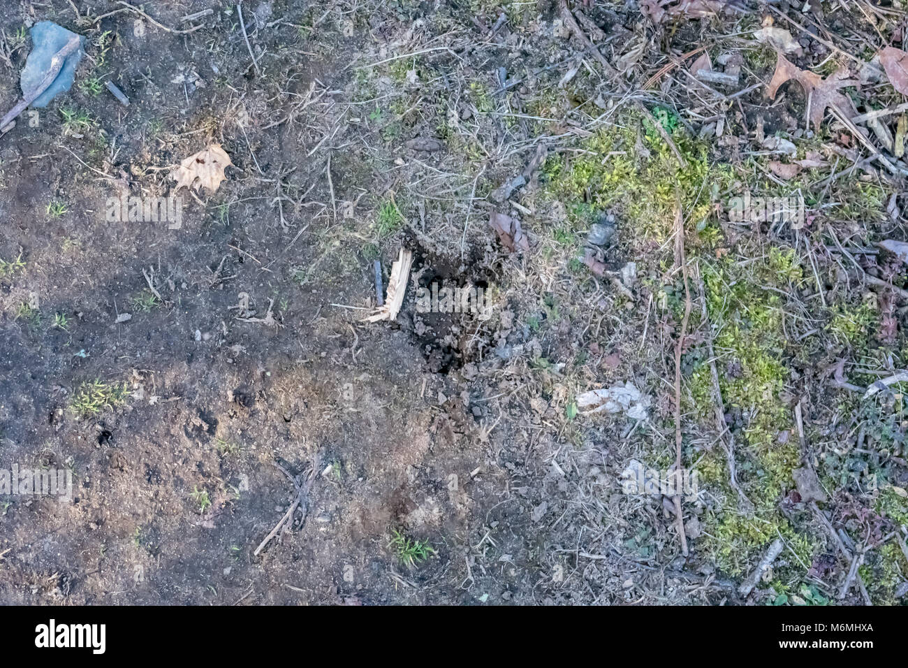 The Great Hill Trails in Bridgewater, Massachusetts Stock Photo - Alamy