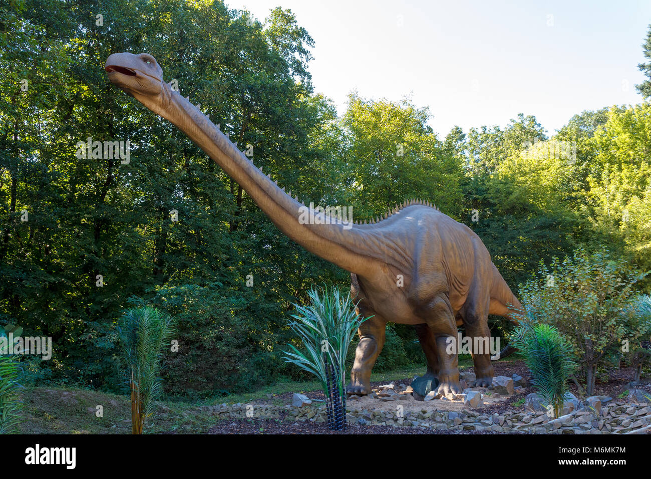 Big model of prehistoric dinosaur Brachiosaurus in nature. Realistic ...