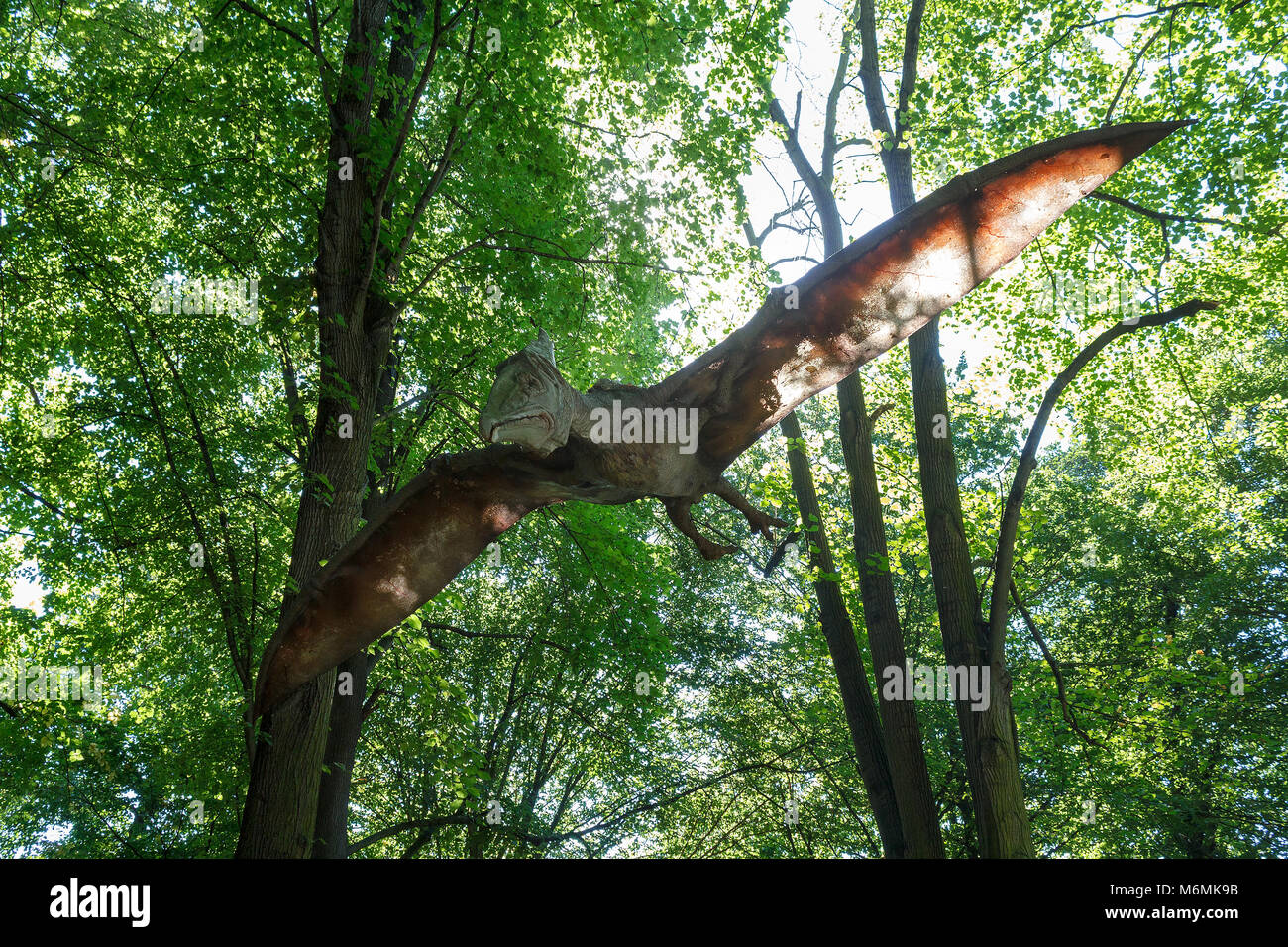 Big model of prehistoric flying dinosaur Pteranodon in nature ...