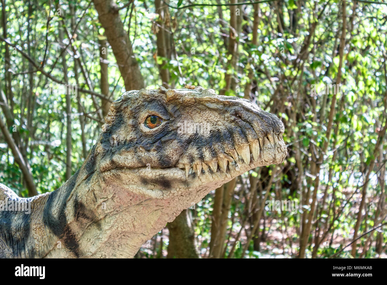 model of dangerous prehistoric dinosaurs raptor in wildlife Stock Photo ...