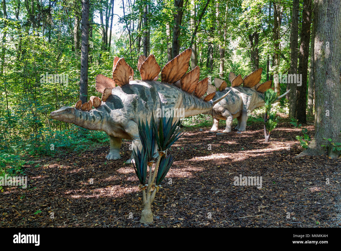 Big model of prehistoric dinosaur stegosaurus in nature. Realistic ...