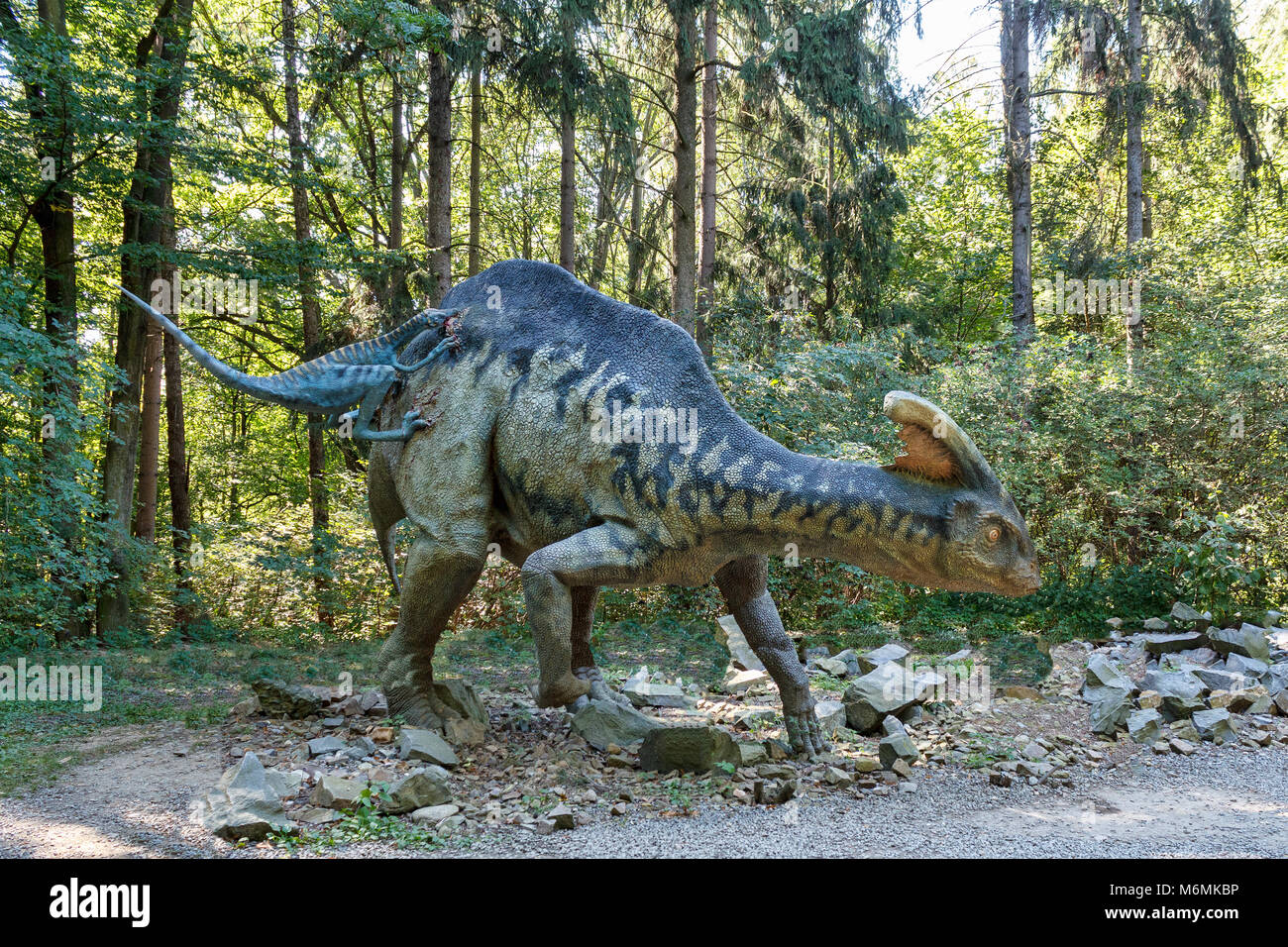 Big model of prehistoric dinosaur Troodon attack parasaurolophus ...