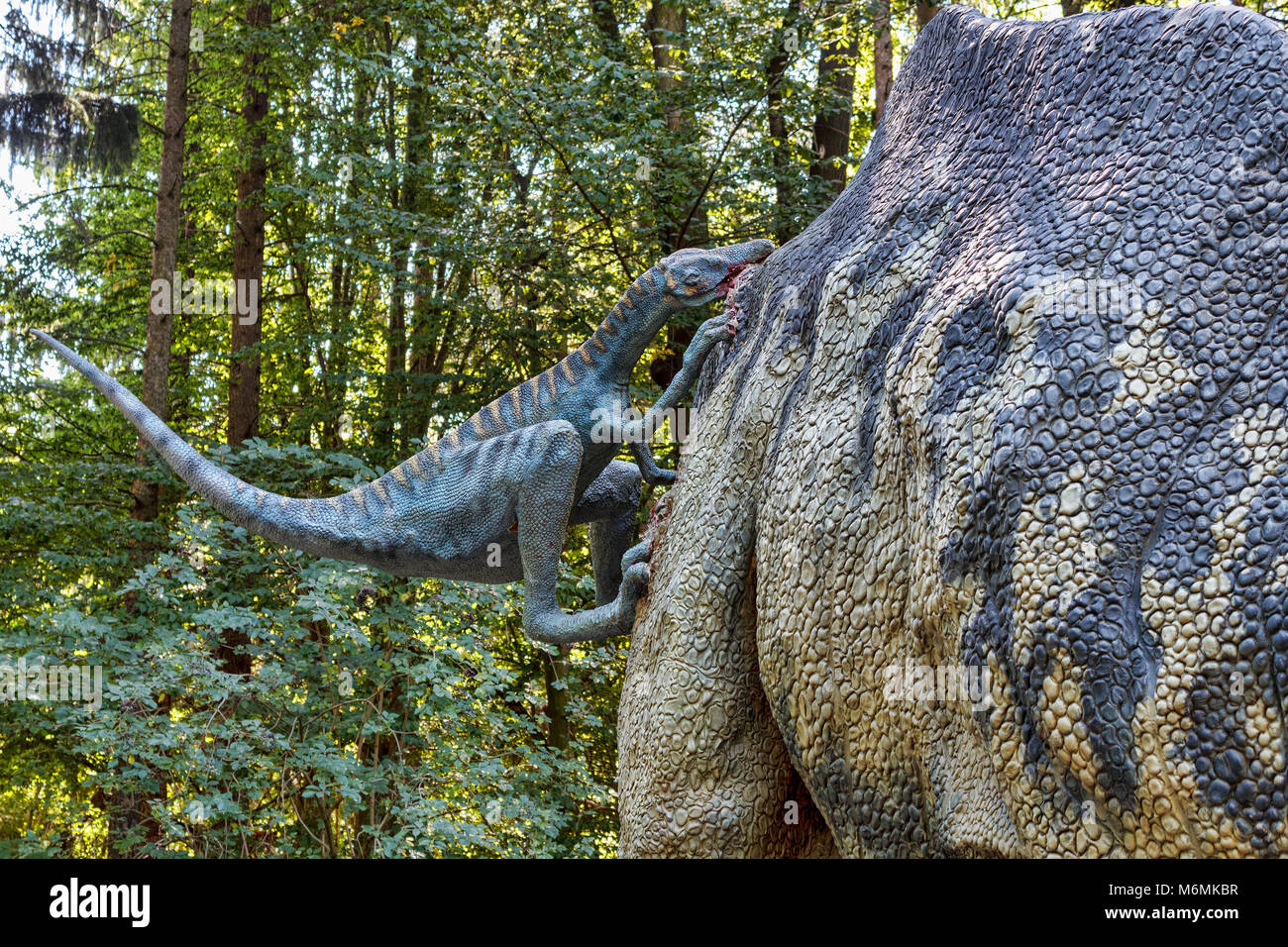 Big model of prehistoric dinosaur Troodon attack parasaurolophus ...