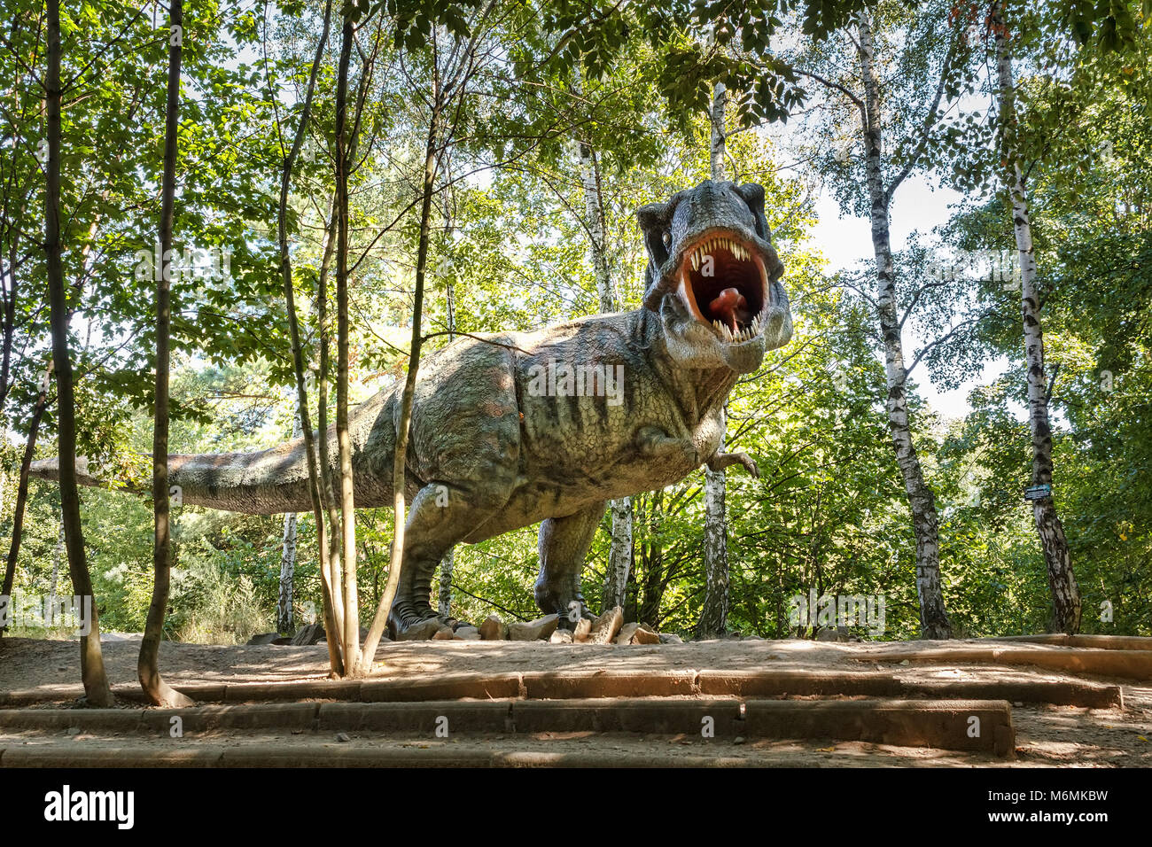 model of dangerous prehistoric dinosaurs Tyrannosaurus Rex, T-rex in ...