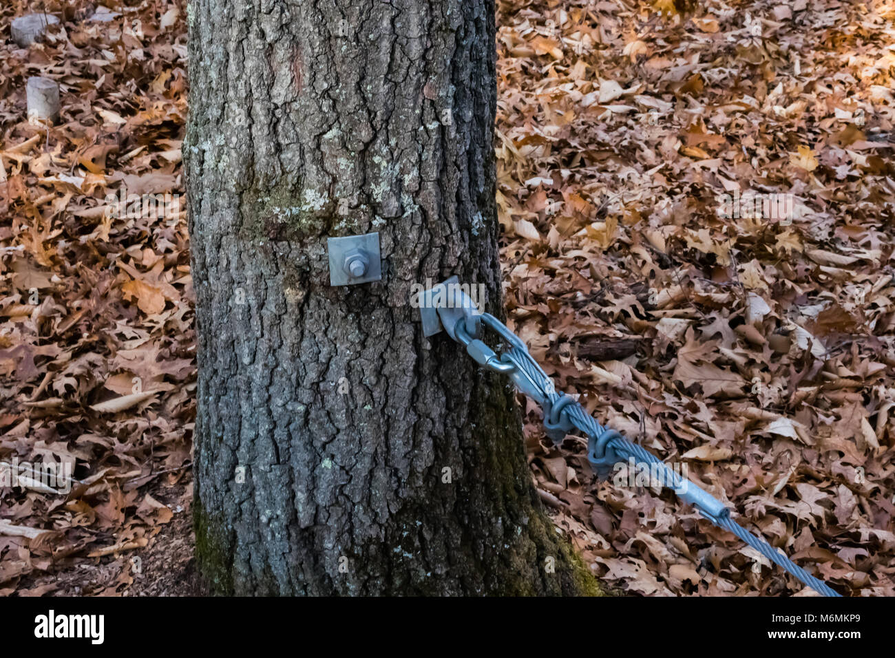 The Great Hill Trails in Bridgewater, Massachusetts Stock Photo - Alamy