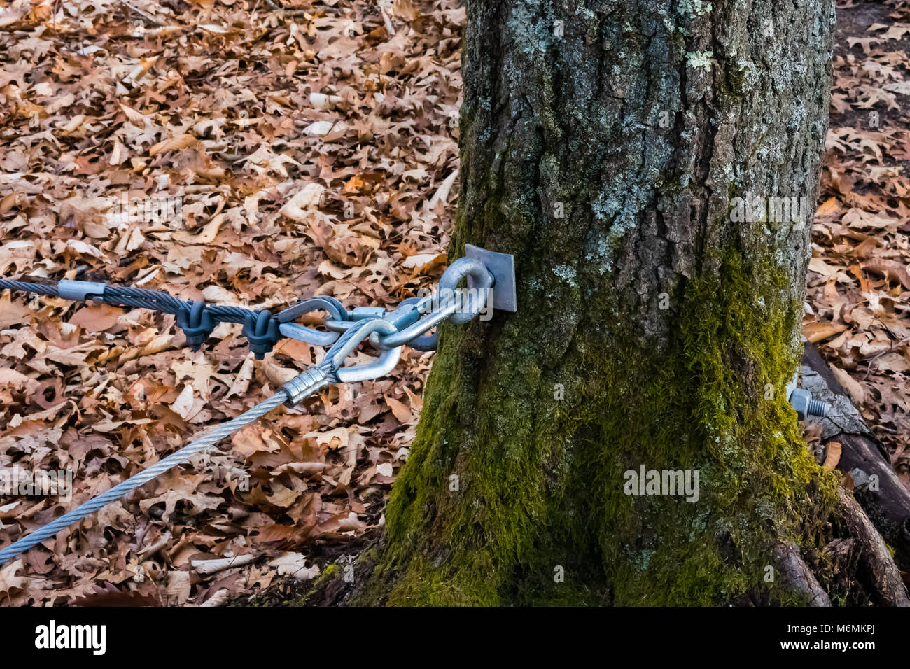 The Great Hill Trails in Bridgewater, Massachusetts Stock Photo - Alamy