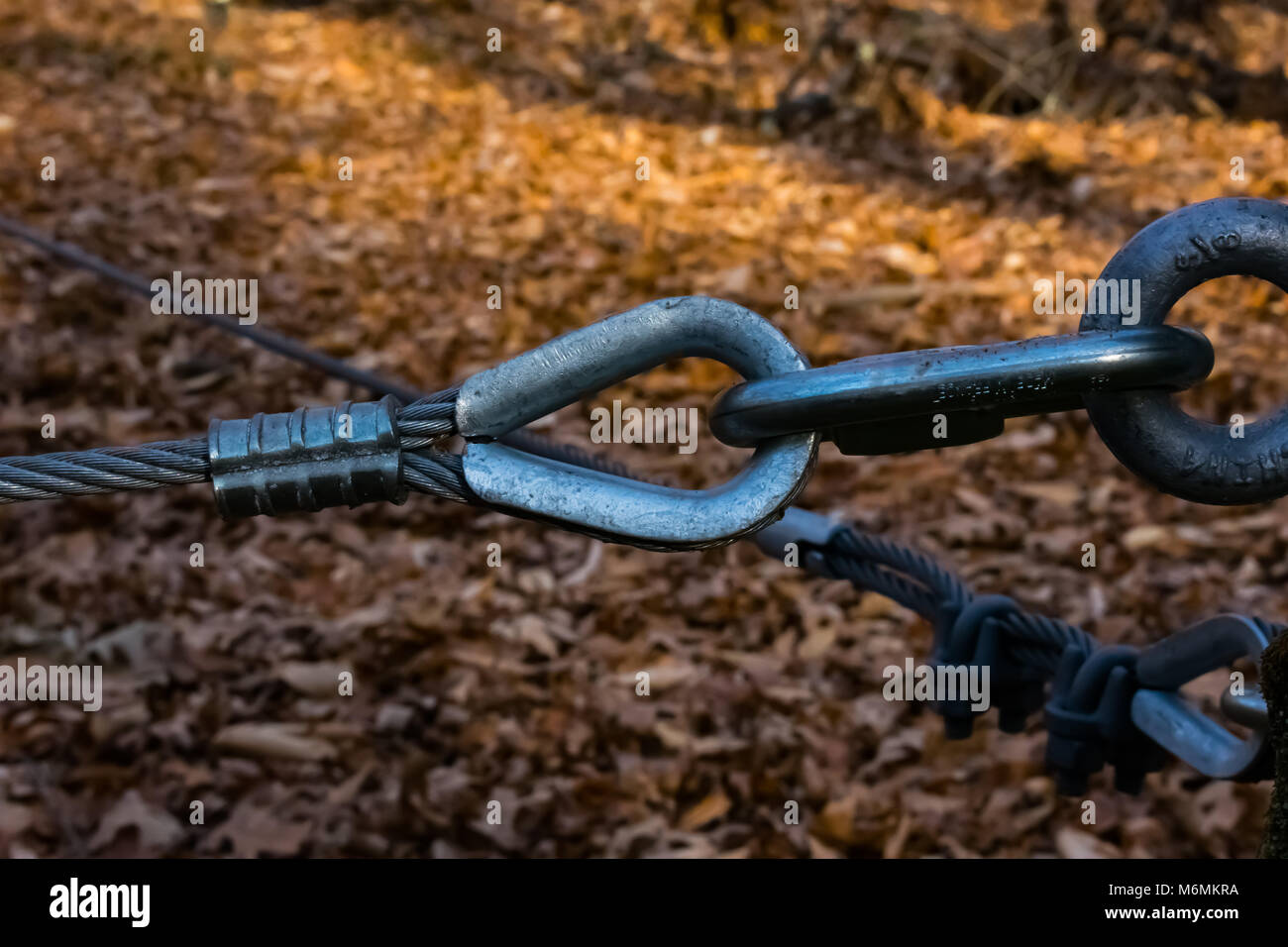The Great Hill Trails in Bridgewater, Massachusetts Stock Photo - Alamy