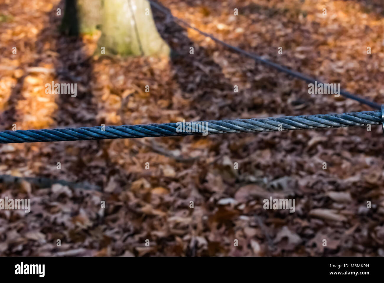The Great Hill Trails in Bridgewater, Massachusetts Stock Photo - Alamy