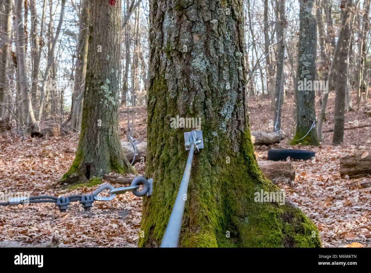 The Great Hill Trails in Bridgewater, Massachusetts Stock Photo - Alamy