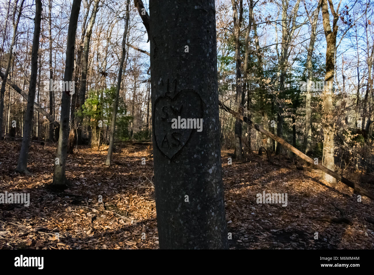 The Great Hill Trails in Bridgewater, Massachusetts Stock Photo - Alamy