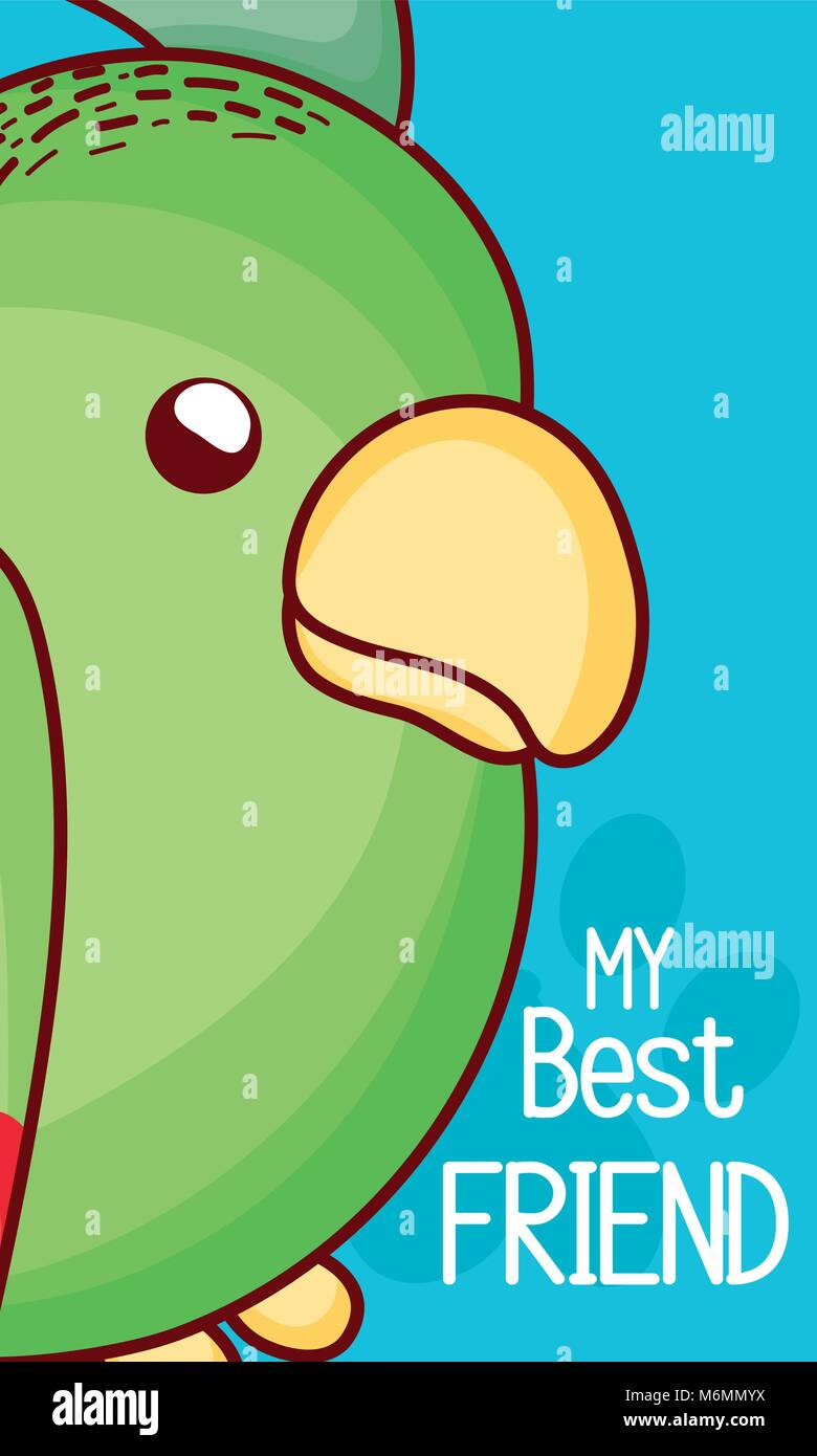My best friend parrot vector illustration graphic design Stock Vector ...