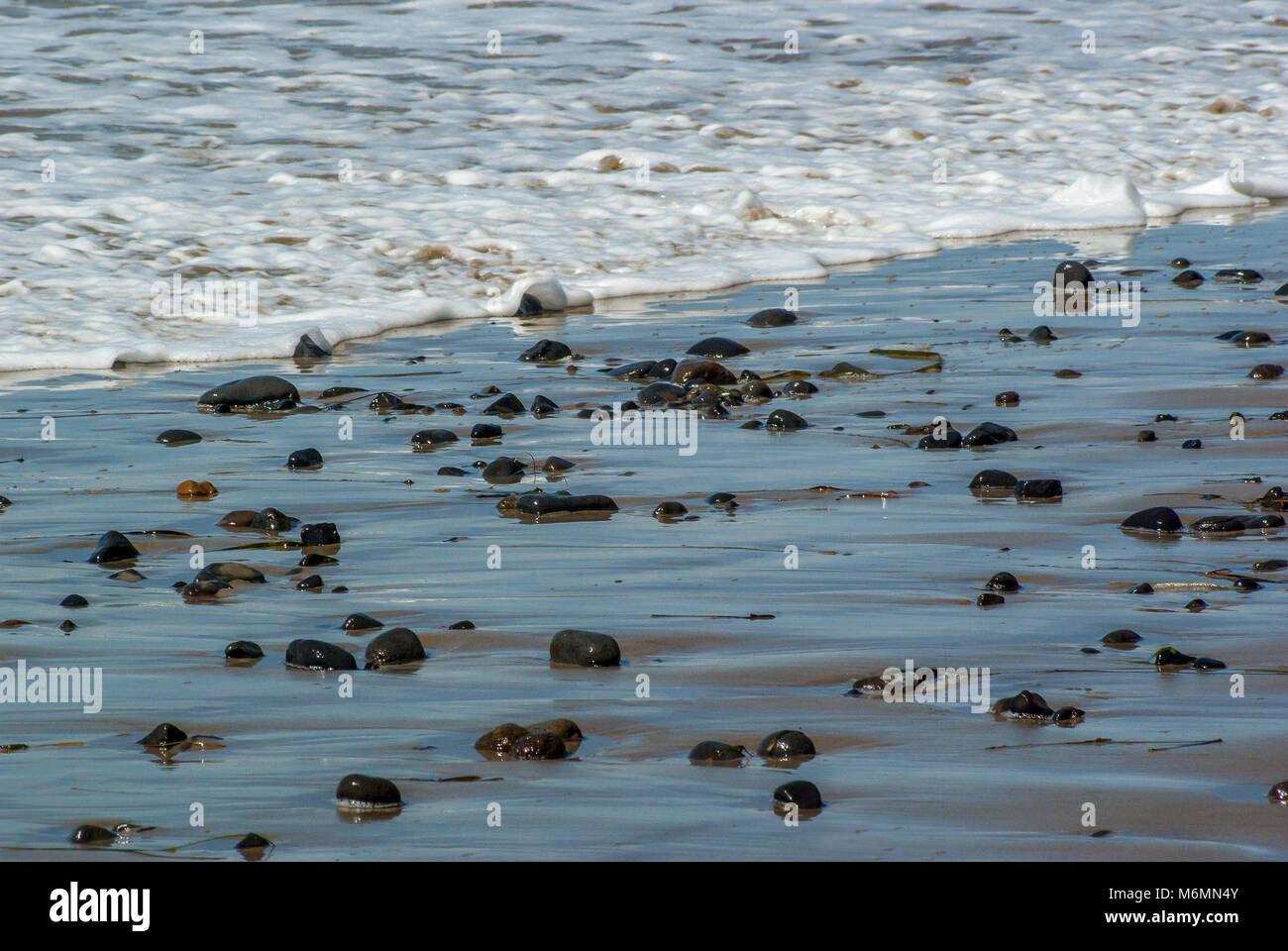 Clumps of seaweed and rocks on wet sandy beach with incoming waves ...
